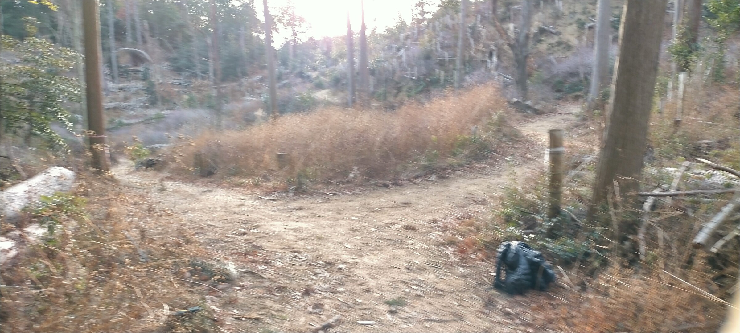 Mr.Kobaさんの投稿したフィールドメモ | YAMAP / ヤマップ