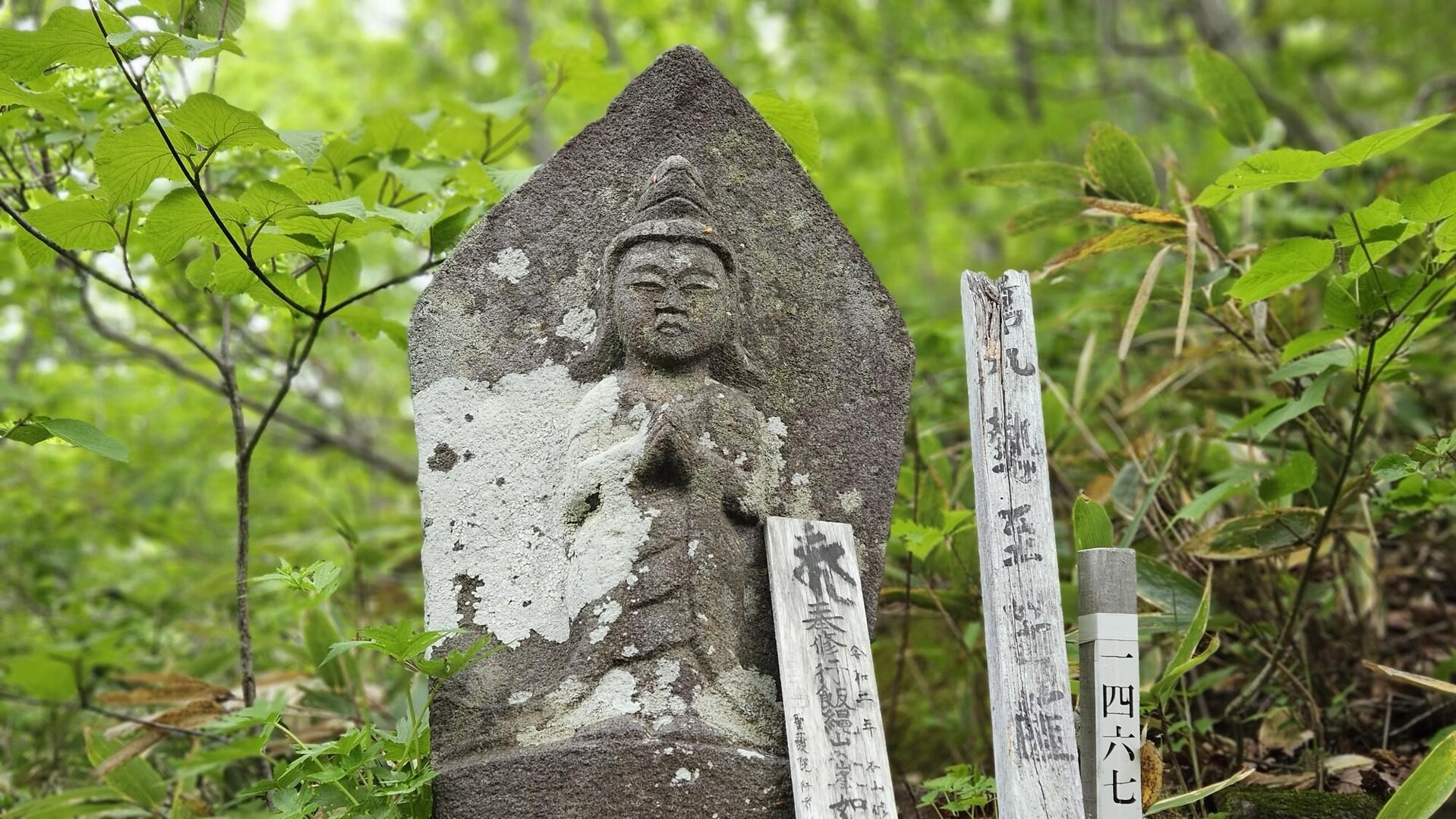 飯縄山（長野） / ichiさんの飯縄山の活動データ | YAMAP / ヤマップ