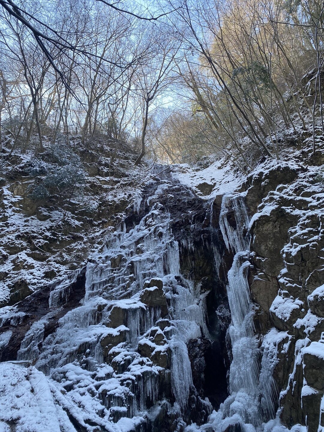 六甲山 / 105sunさんの六甲山・長峰山・摩耶山の活動データ | YAMAP / ヤマップ
