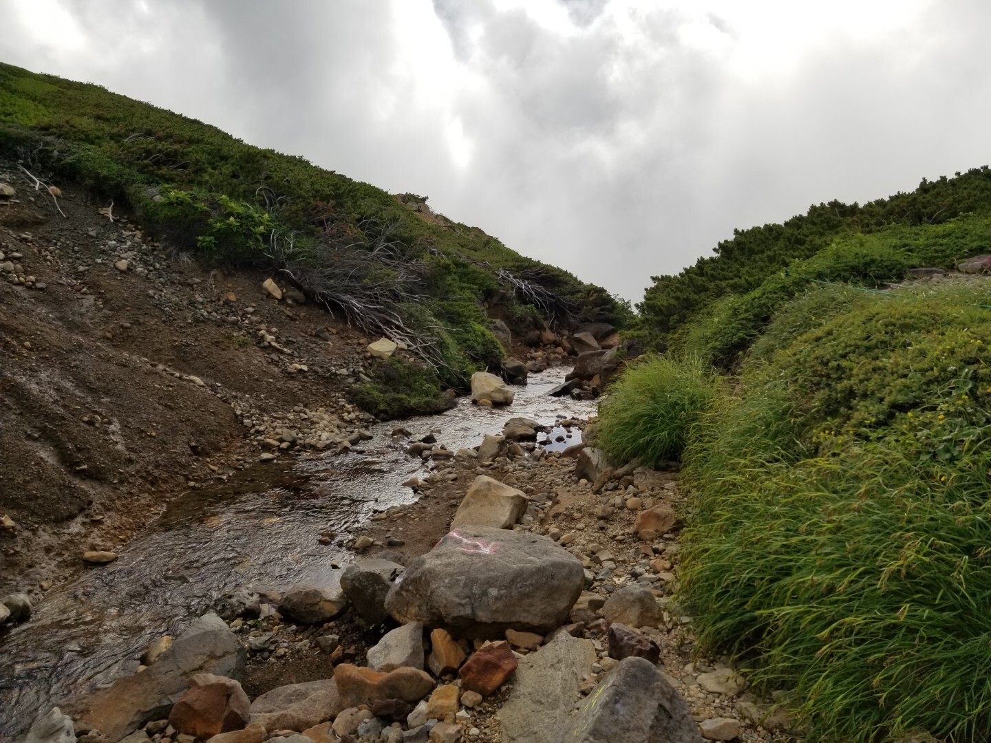 tako2019さんの投稿したフィールドメモ | YAMAP / ヤマップ