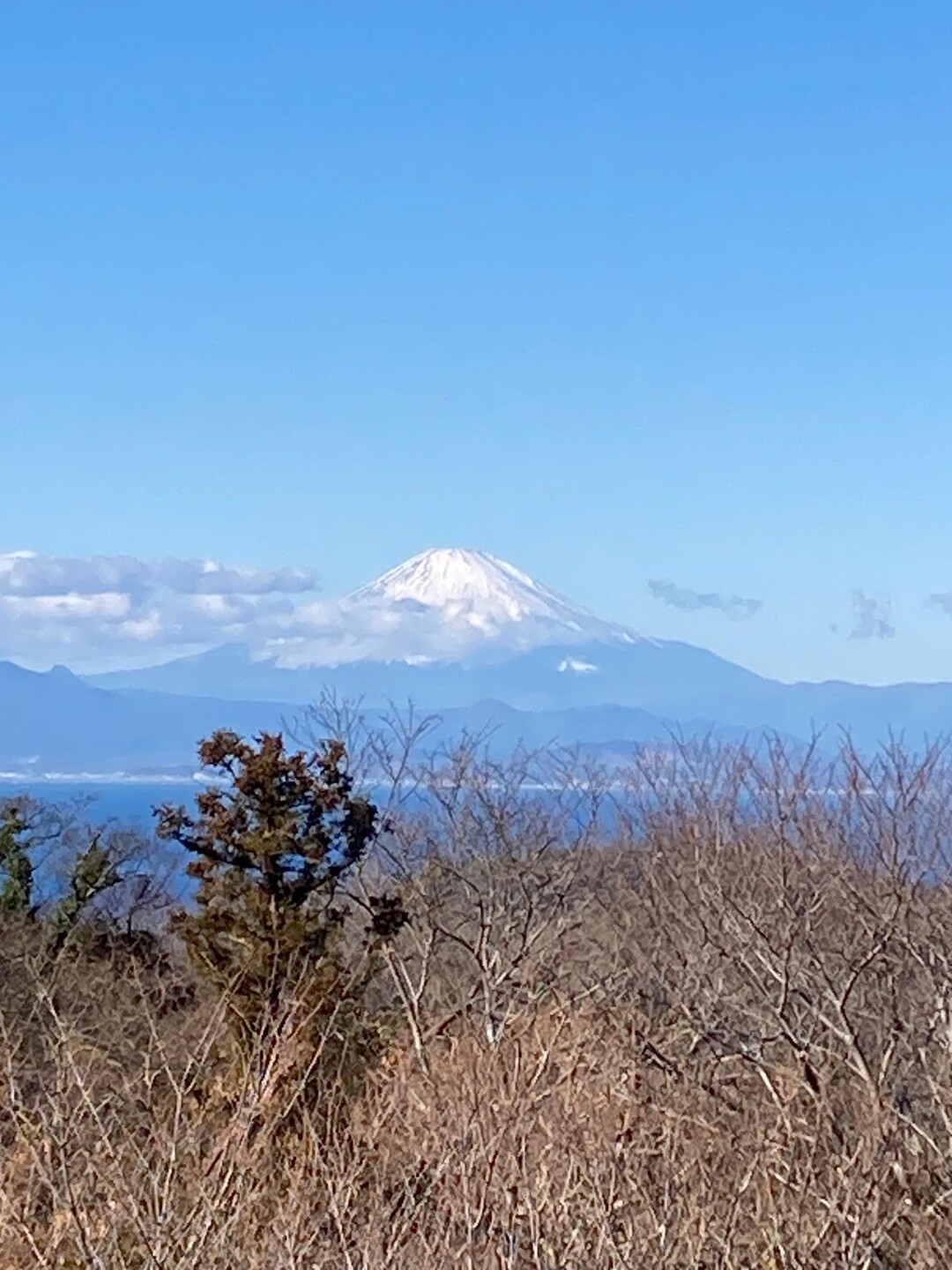 登り始め 大楠山・武山・砲台山・三浦富士 / BAYSさんの大楠山・武山・三浦富士の活動データ | YAMAP / ヤマップ