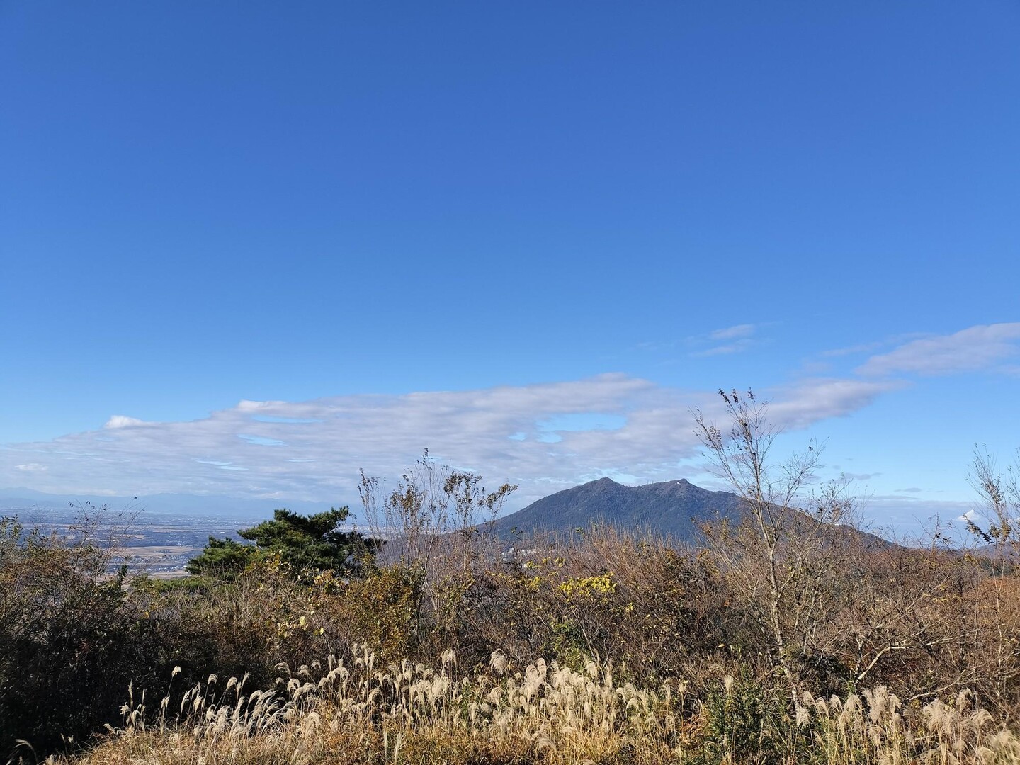 宝篋山 / LALAさんの宝篋山・富岡山の活動データ | YAMAP / ヤマップ