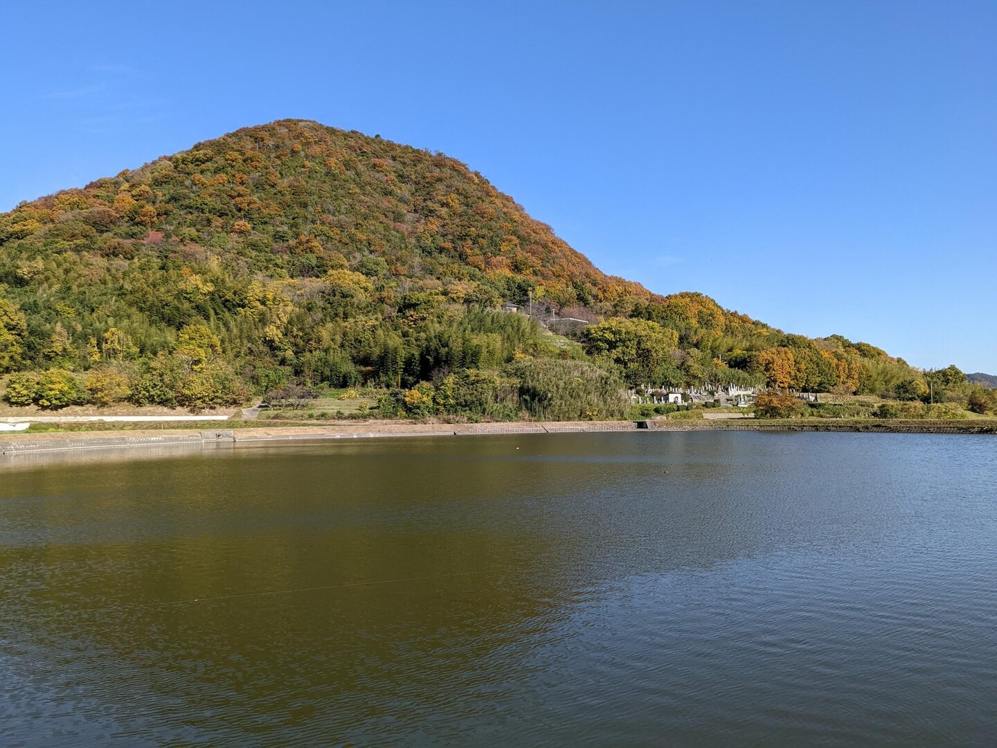 爺神山 ぐるりんイイながめです / BIK局長さんの稲積山・志保山・七宝山の活動データ | YAMAP / ヤマップ