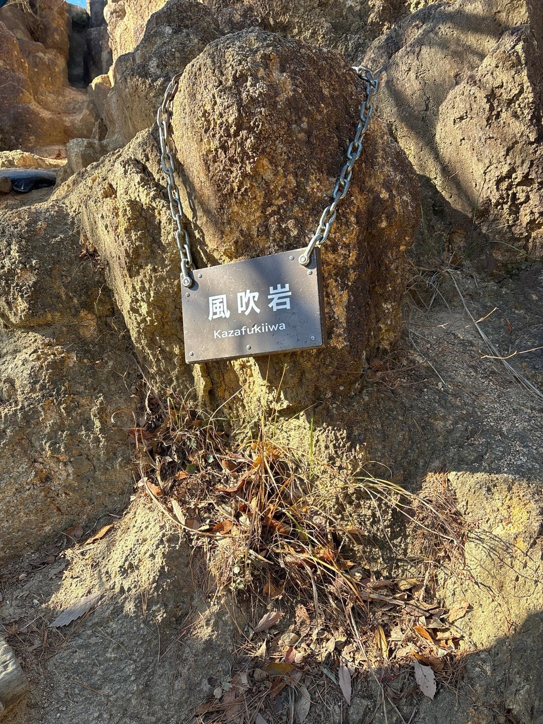 六甲山・長峰山・摩耶山-2024-12-15 / ナルちゃんさんの六甲山・長峰山・摩耶山の活動日記 | YAMAP / ヤマップ