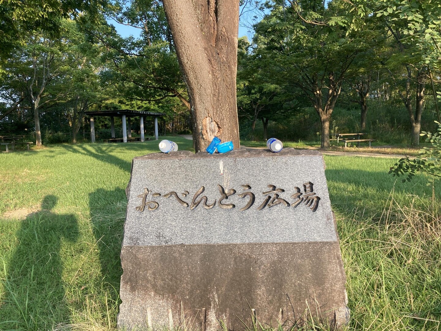 神於山〜練習会② / bu-koさんの岸和田市の活動データ | YAMAP / ヤマップ