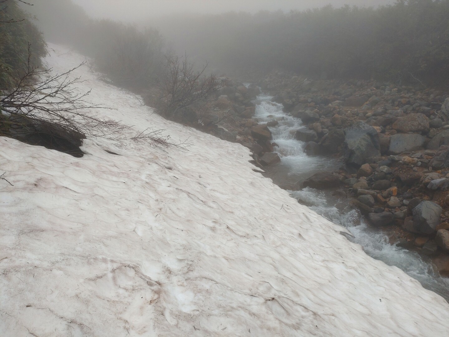 退職してから三百名山さんの投稿したフィールドメモ | YAMAP / ヤマップ