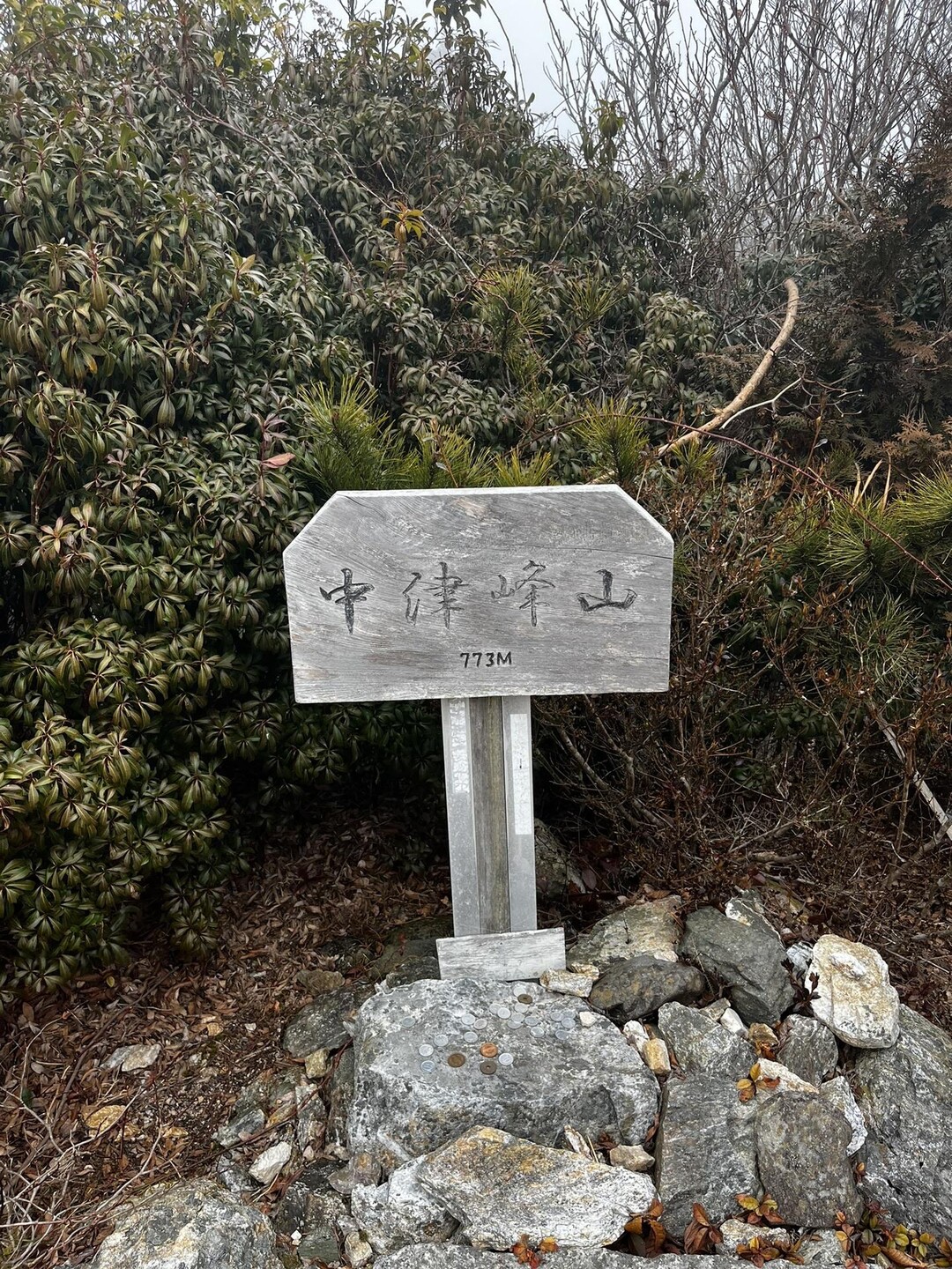 剣山地の東の果て：中津峰山 / MYさんの中津峰山・平石山・古田山の活動データ | YAMAP / ヤマップ