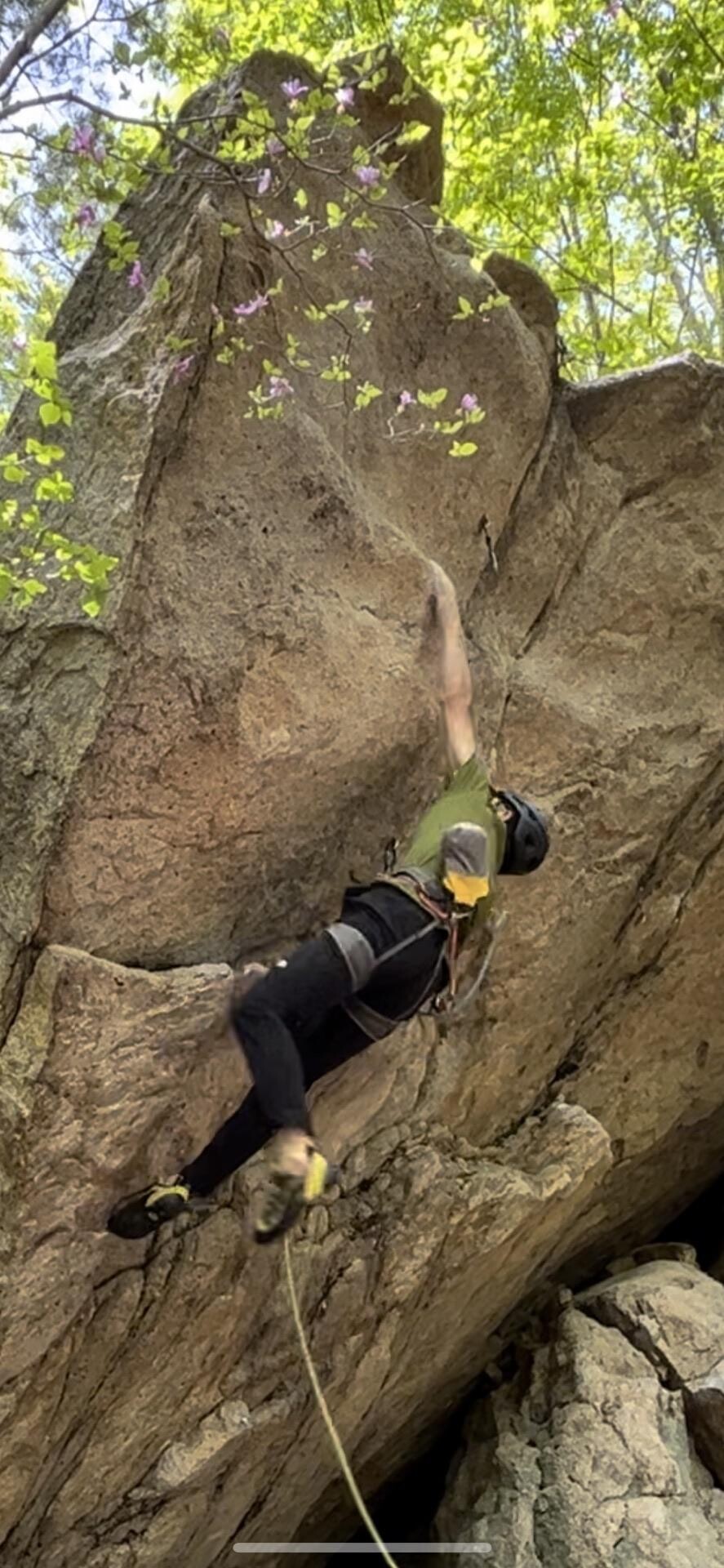 【小川山】マルチ＆フリークライミング / ryotaさんの瑞牆山・金峰山の活動データ | YAMAP / ヤマップ