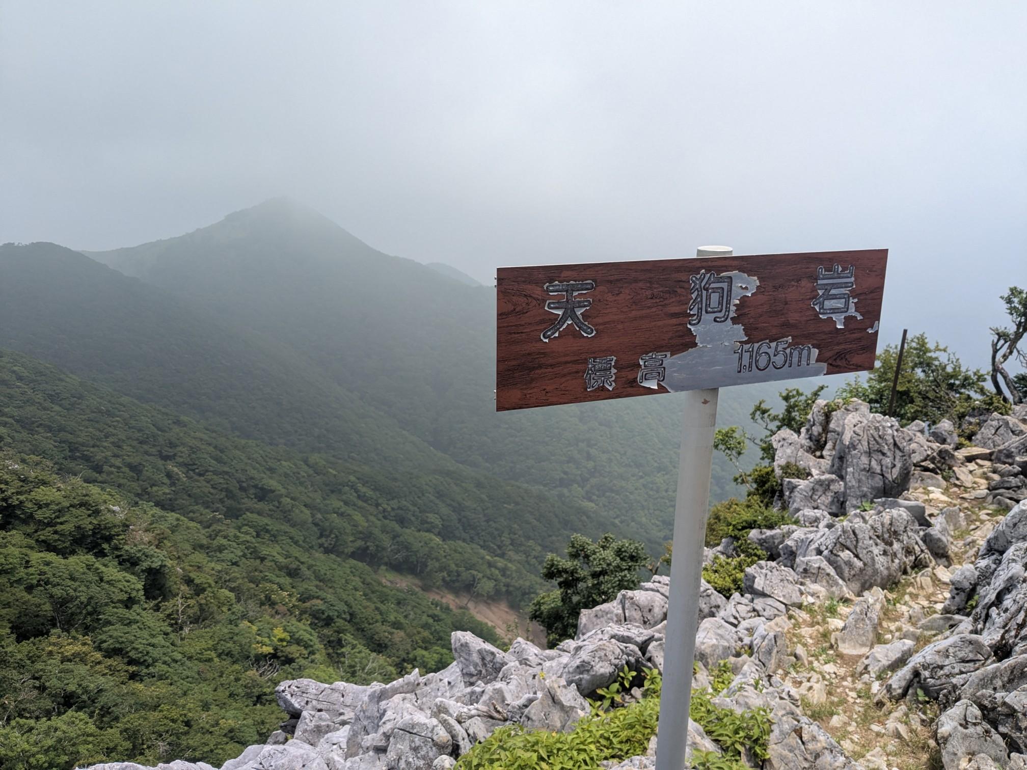 藤原岳・天狗岩 / westさんの藤原岳・御池岳の活動データ | YAMAP / ヤマップ