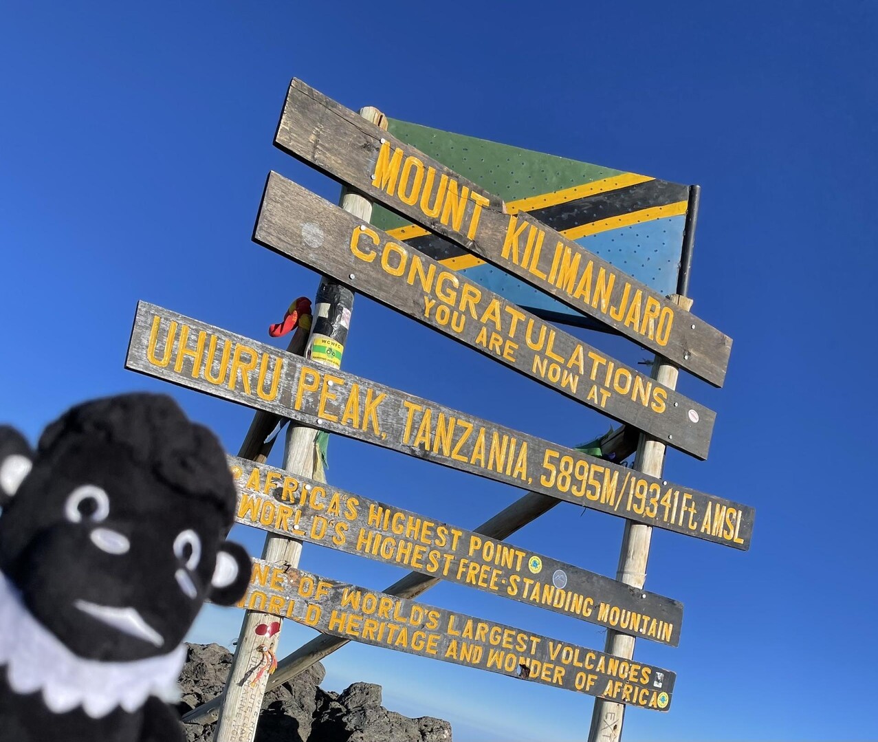 やっと行けた‼️アフリカ大陸最高峰キリマンジャロ / Y.PANDAさんのキリマンジャロの活動データ | YAMAP / ヤマップ