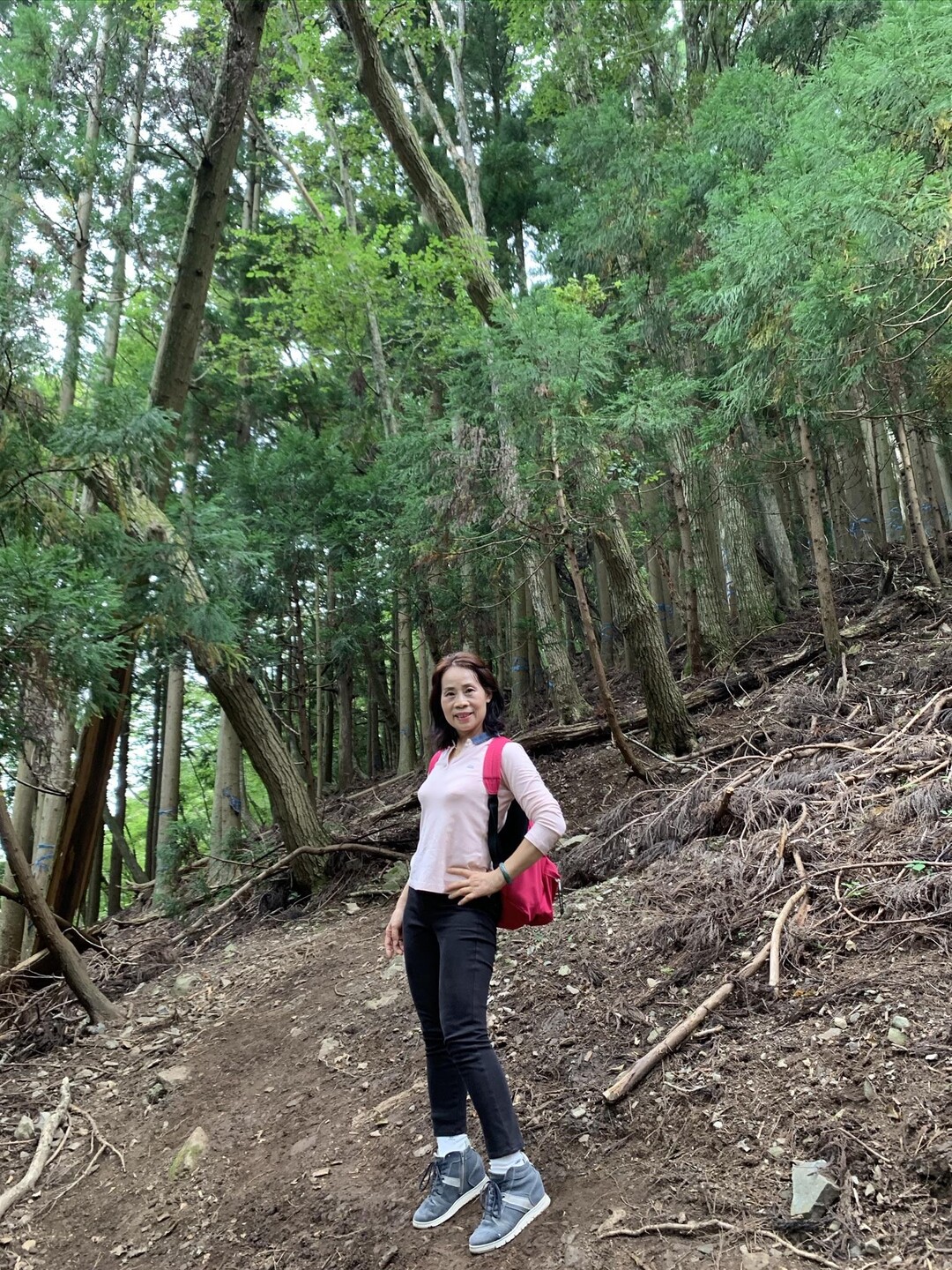 2020.10.4に武奈ヶ岳を登りました... / haruさんのモーメント | YAMAP / ヤマップ