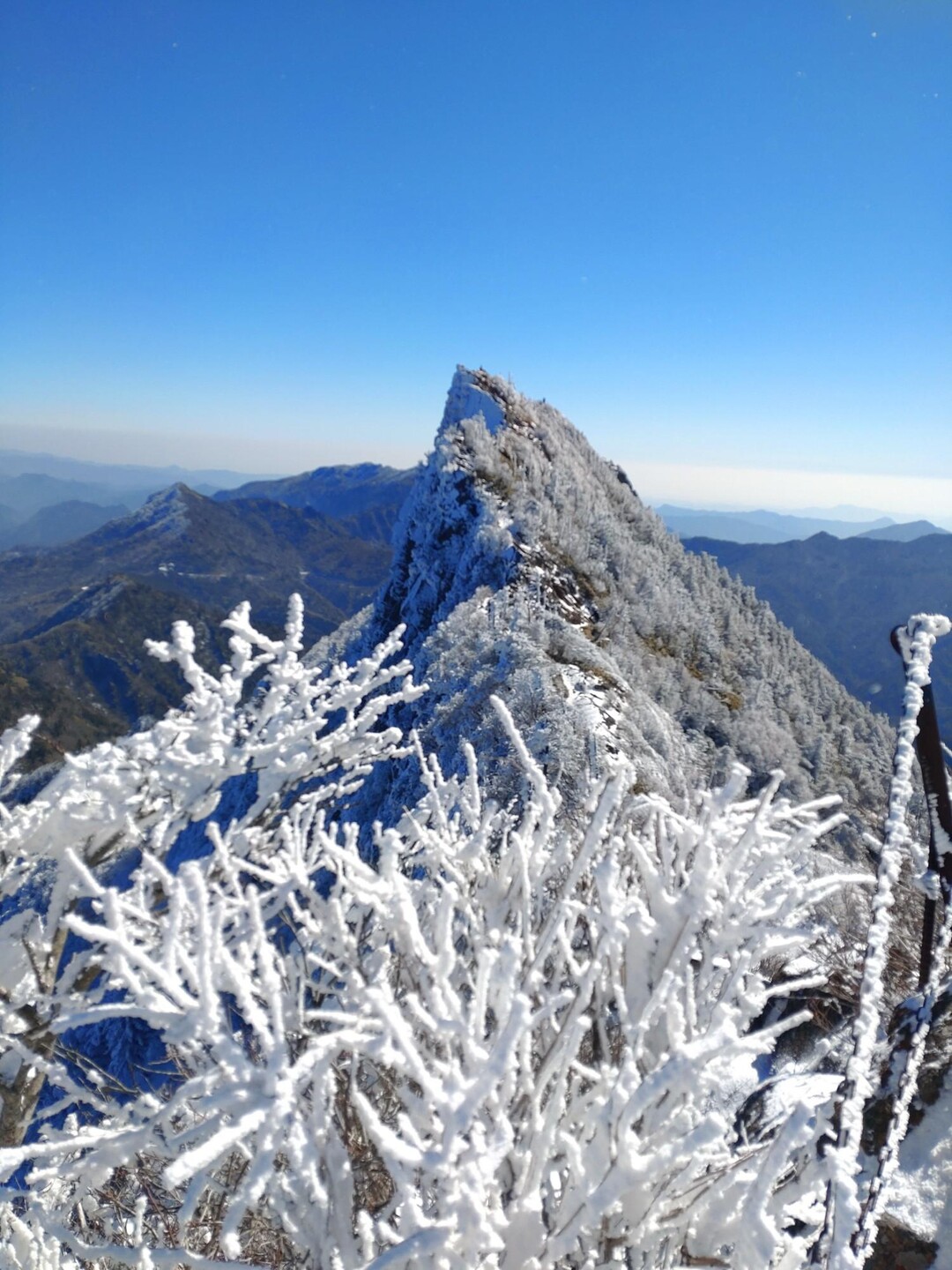 西ノ川〜成就経由石鎚山 / Tom Ookaさんの石鎚山・堂ヶ森・二ノ森の活動データ | YAMAP / ヤマップ