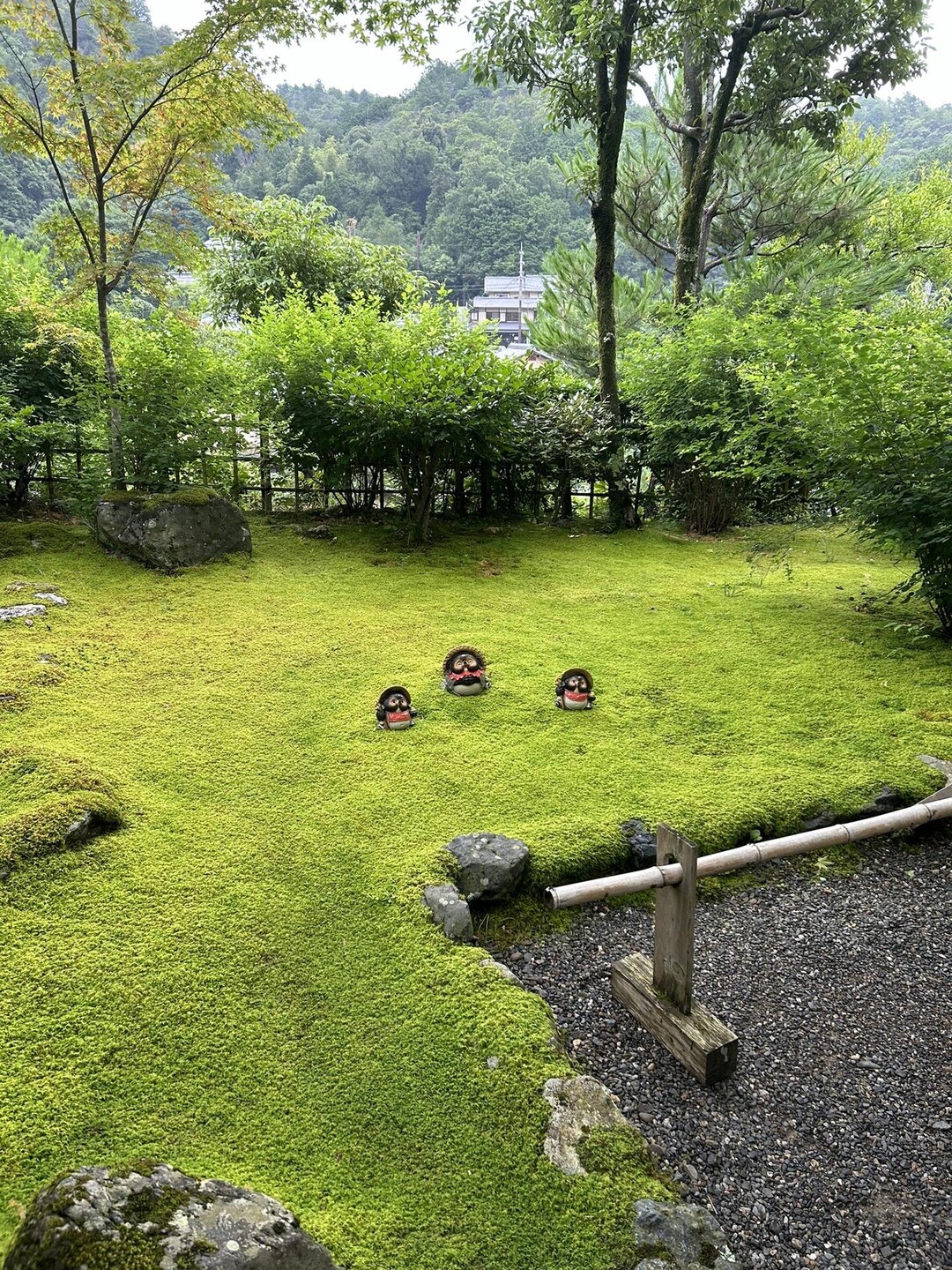 新烏ヶ岳・烏ヶ岳・嵐山・松尾山 20240714 / ryotaさんの京都一周トレイルの活動データ | YAMAP / ヤマップ