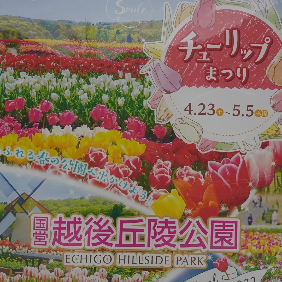 スッキリしないGW前半😅国営越後丘陵公... / takajun1100さんのモーメント | YAMAP / ヤマップ