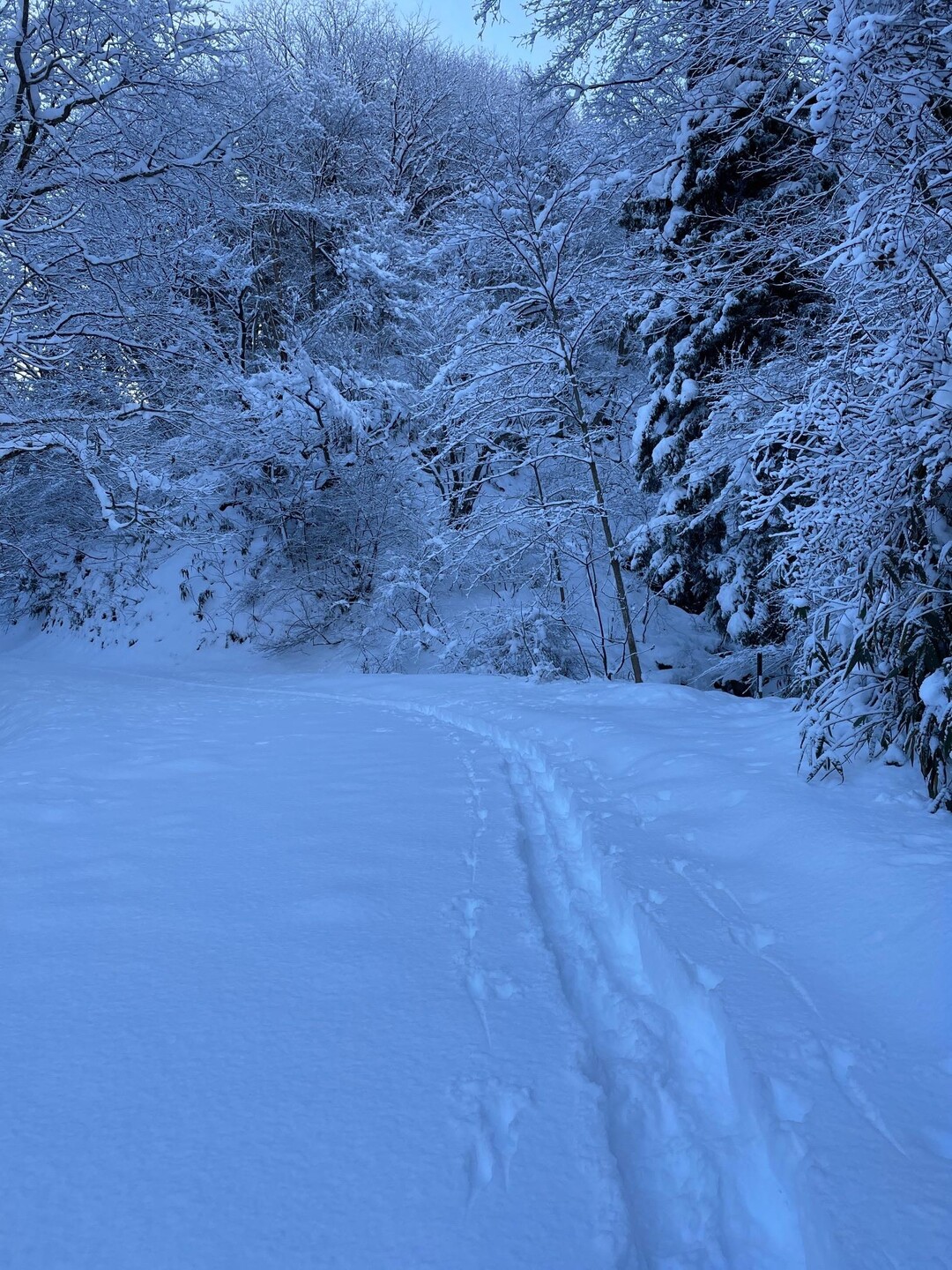 小貝月山・貝月山 / golfbakaさんの貝月山の活動データ | YAMAP / ヤマップ