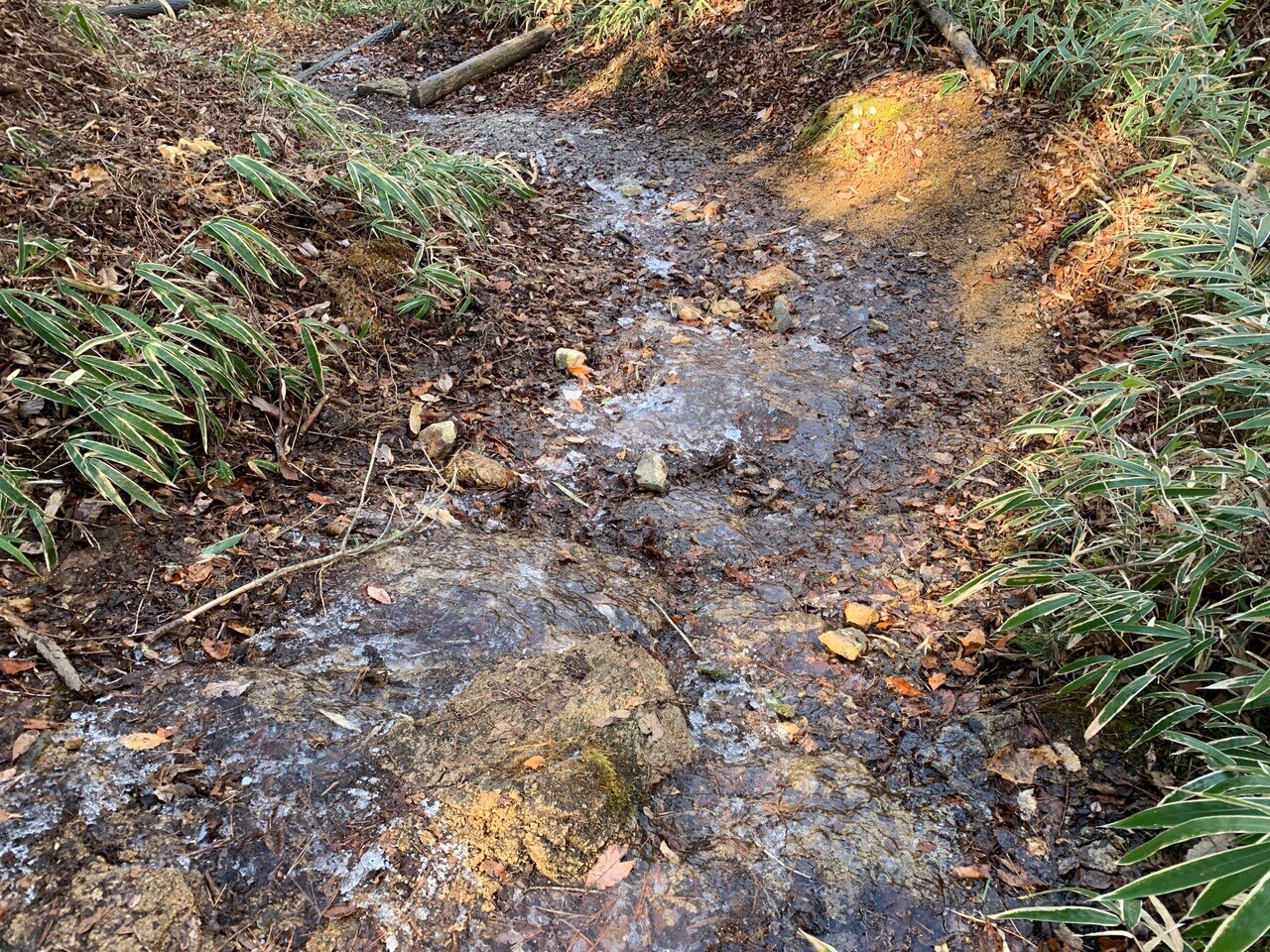 K1さんの投稿したフィールドメモ | YAMAP / ヤマップ