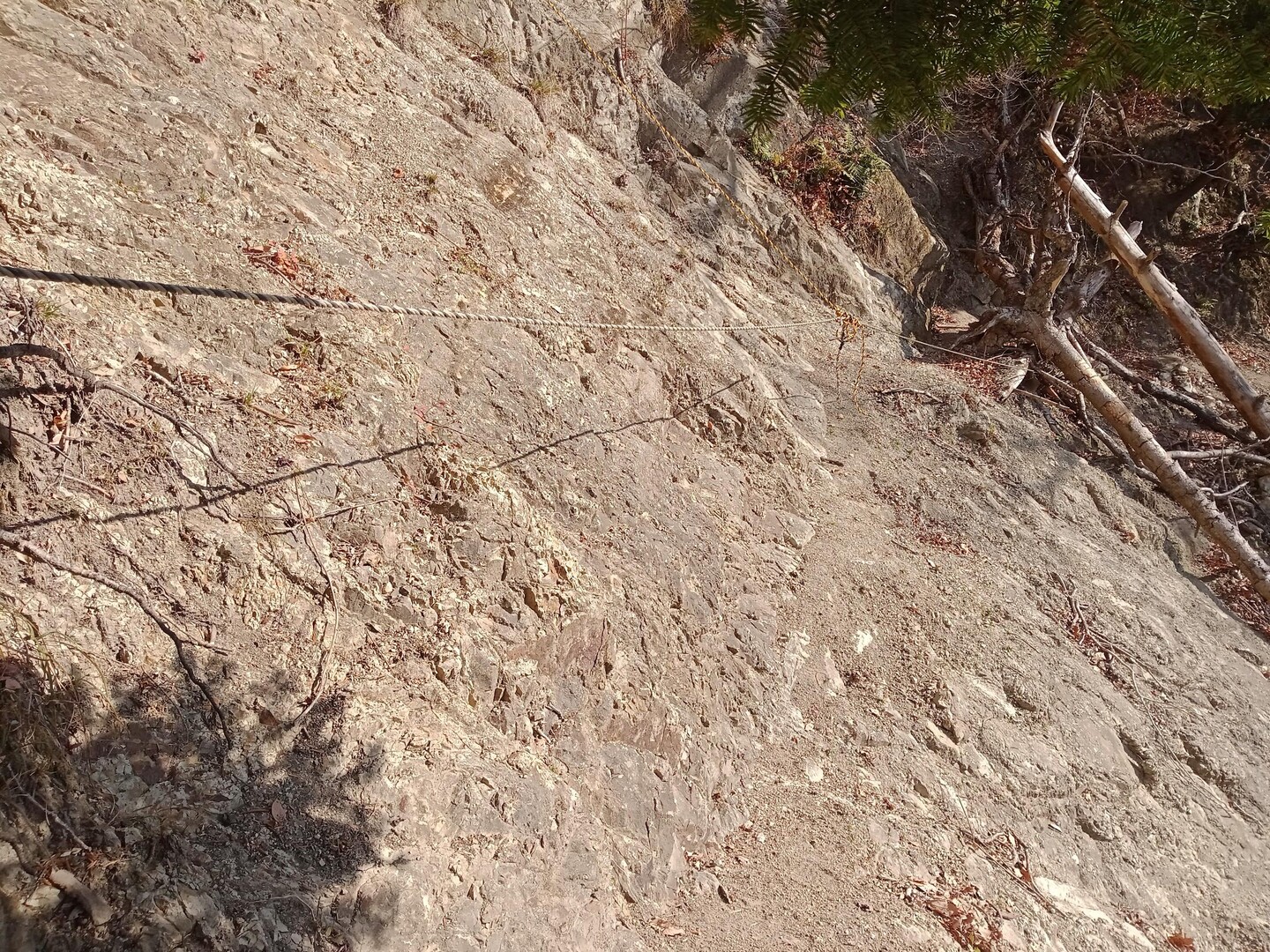 teruさんの投稿したフィールドメモ | YAMAP / ヤマップ