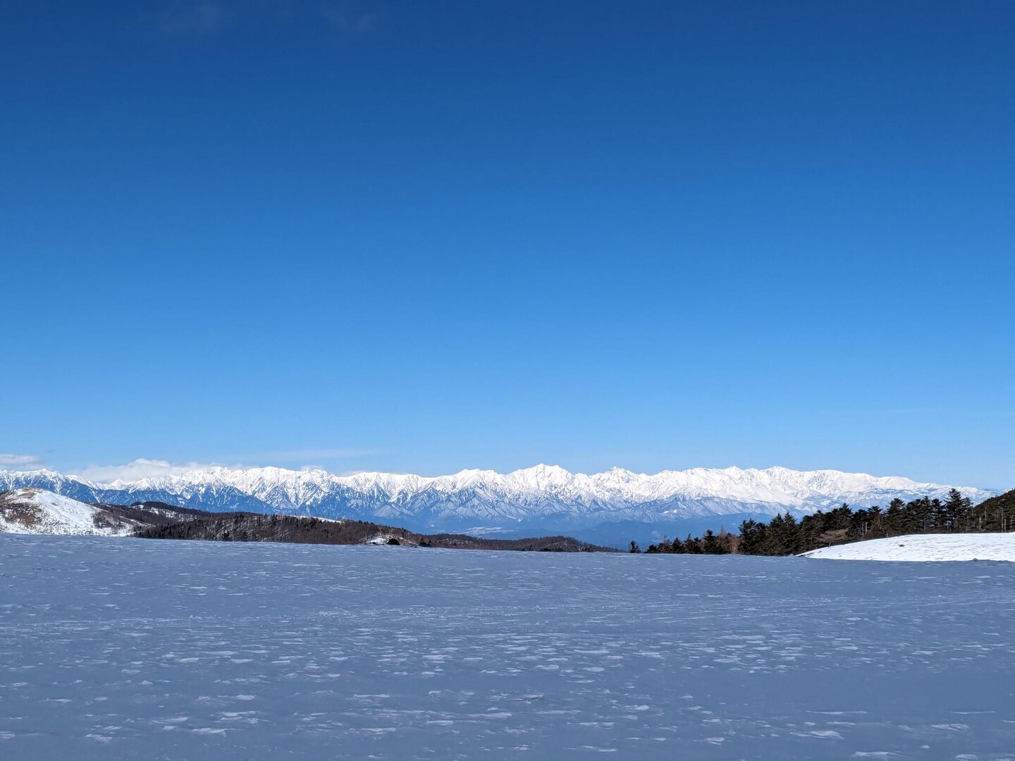 今年は2days🎂美ヶ原編 / emi.sanさんの美ヶ原の活動日記 | YAMAP / ヤマップ