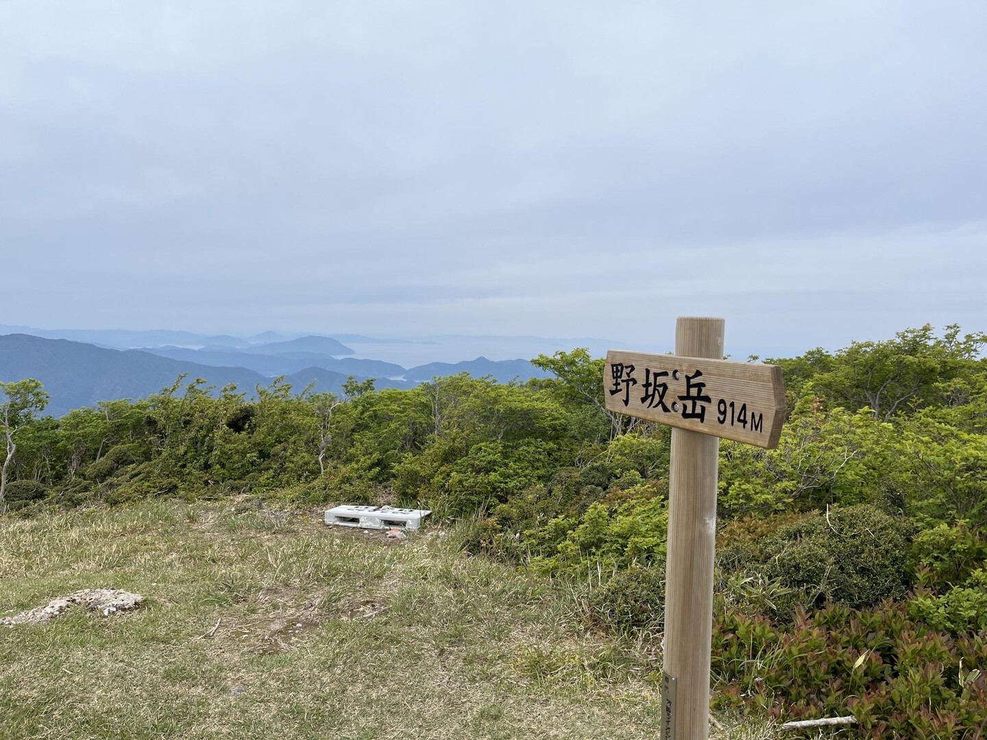240519 NH野坂岳 / ひまりんさんの野坂岳の活動データ | YAMAP / ヤマップ