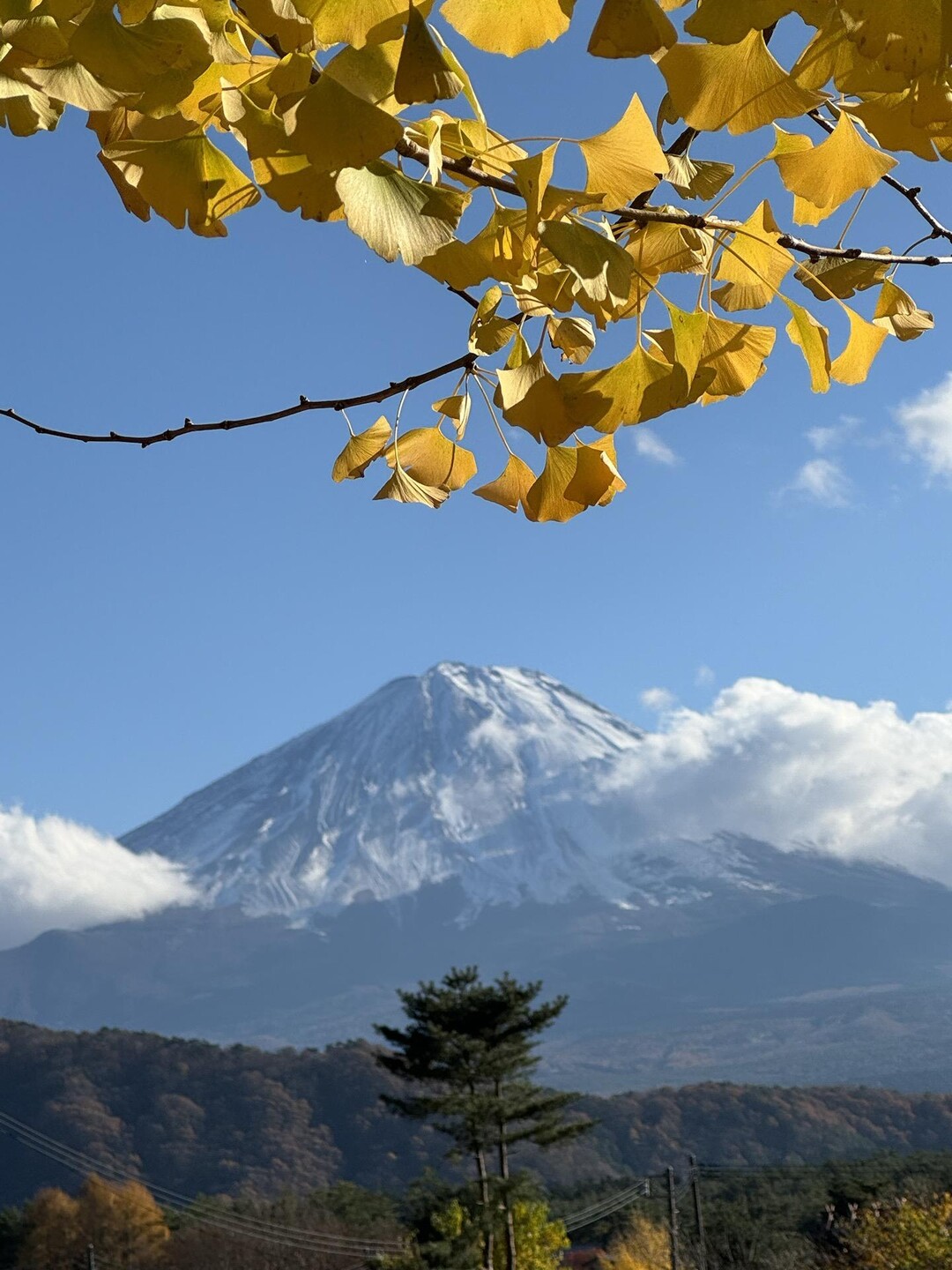 鬼ヶ岳 / TGマッチョさんの節刀ヶ岳・破風山・足和田山の活動データ | YAMAP / ヤマップ
