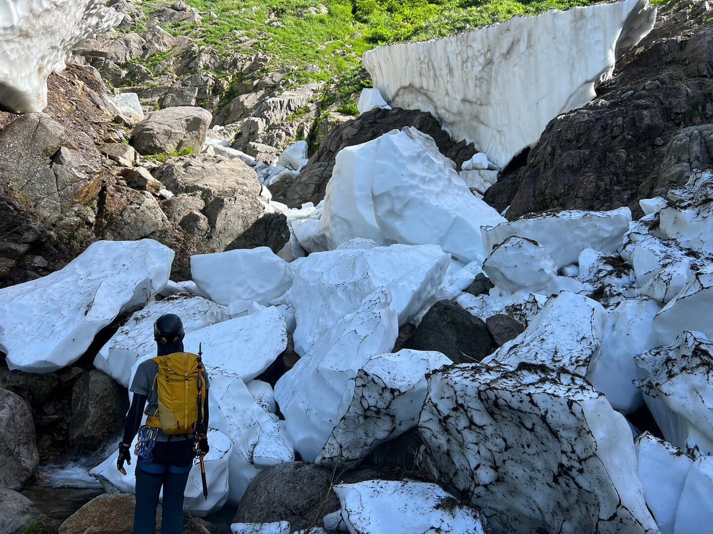 割引沢天狗尾根ルート / daitenさんの巻機山・割引岳・金城山の活動データ | YAMAP / ヤマップ