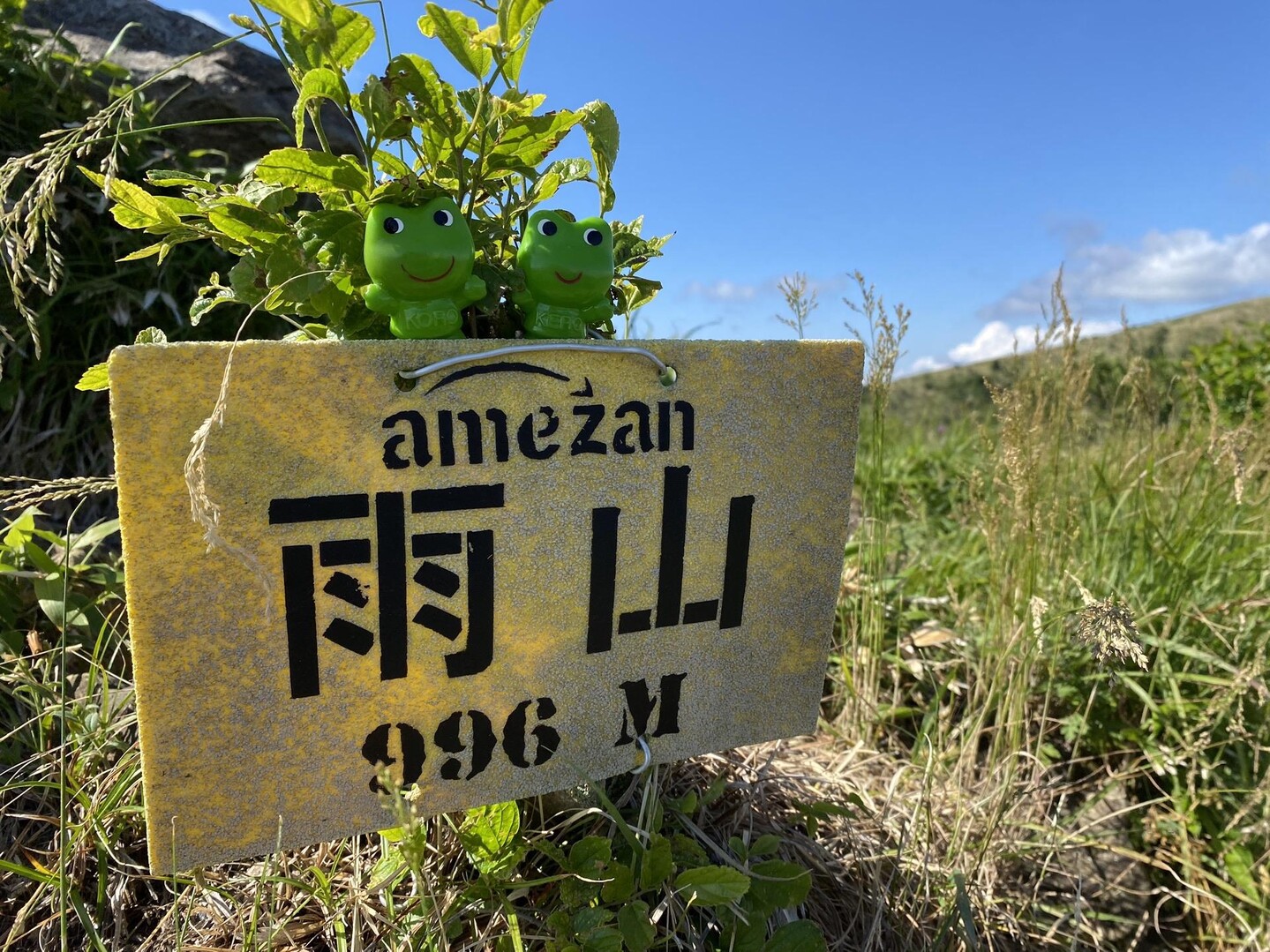 雨山(あめざん/あめやま) 〜天川登山口より / KORORONさんの天山の活動データ | YAMAP / ヤマップ