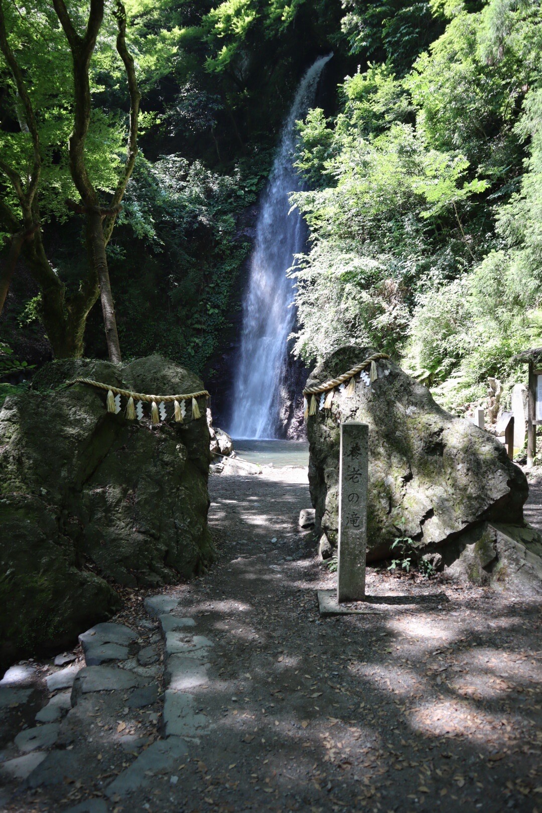 三方山・小倉山 / いわなちゃんさんの養老山・笙ヶ岳・三方山の活動データ | YAMAP / ヤマップ