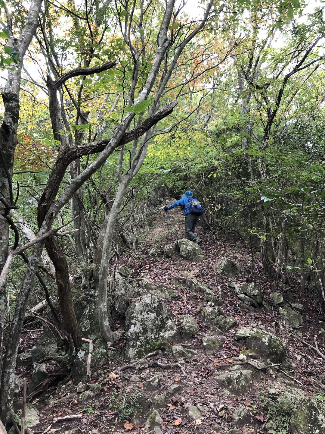 檀特山 / ta3netさんの矢筈山・女体山の活動データ | YAMAP / ヤマップ