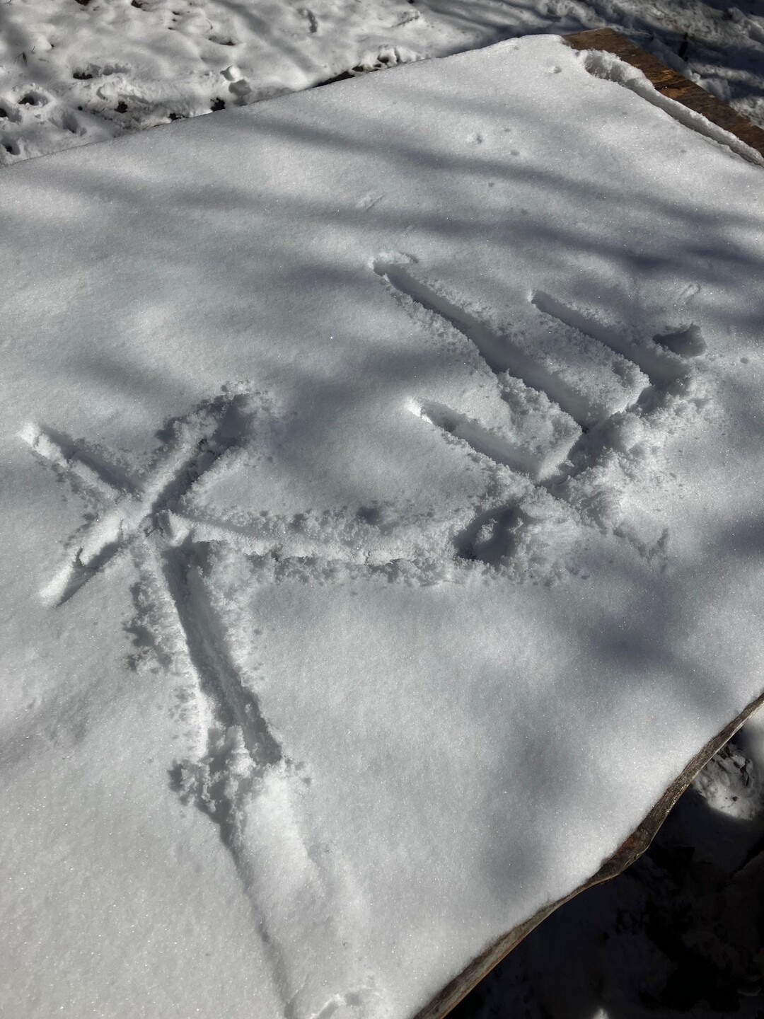 大山（蓑毛ルート） / suzuさんの大山の活動データ | YAMAP / ヤマップ