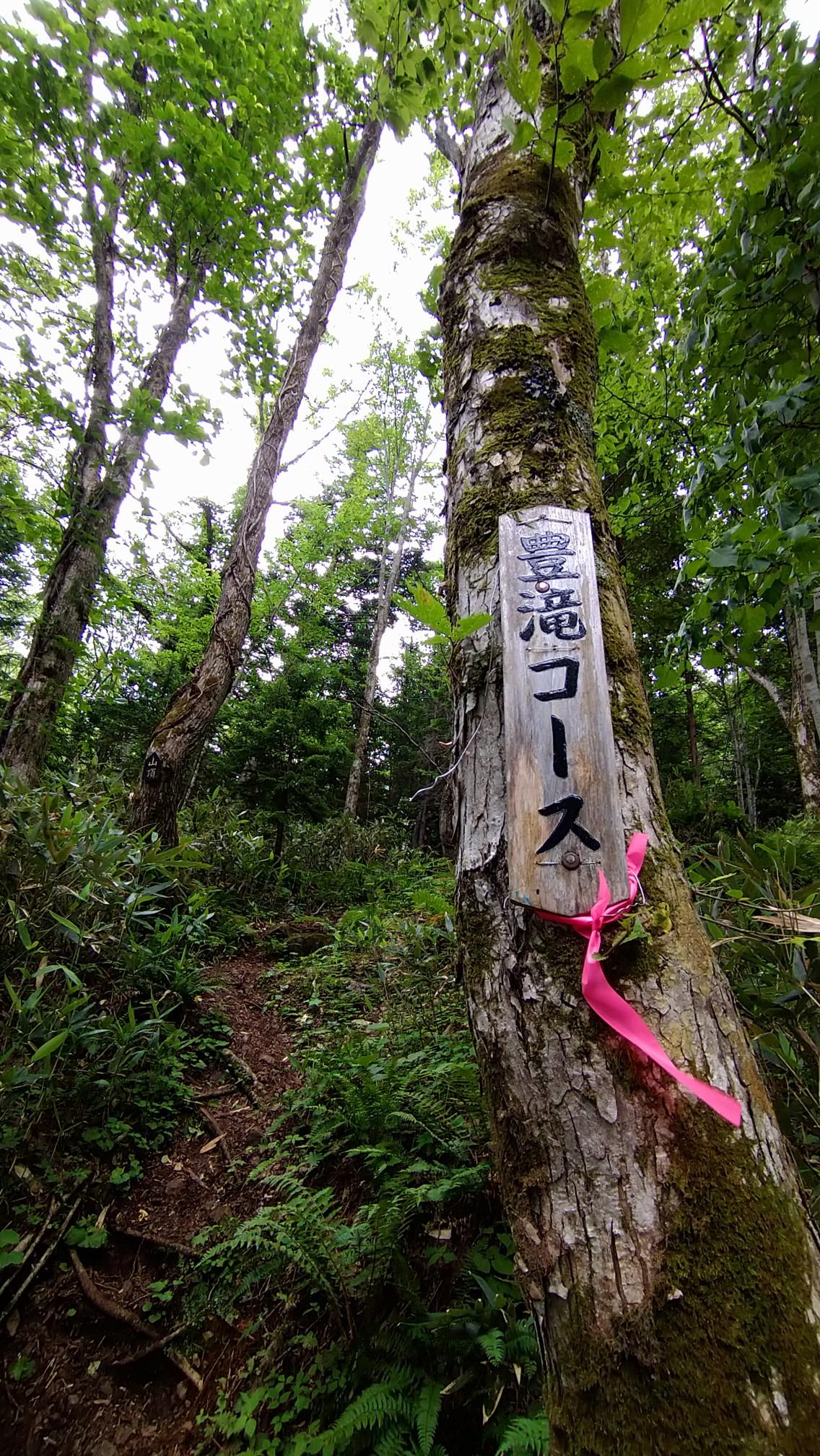 はじめまして札幌岳 / cocoさんの札幌岳・空沼岳の活動データ | YAMAP / ヤマップ