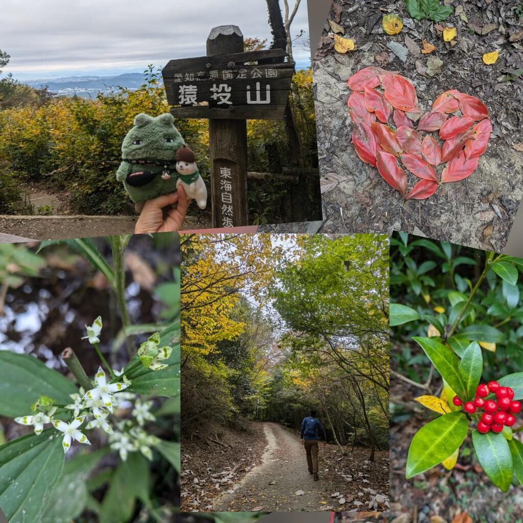 久しぶりの猿投山‼️‼️ヤッパリキツイね。 / minyayonさんの猿投山・物見山の活動データ | YAMAP / ヤマップ