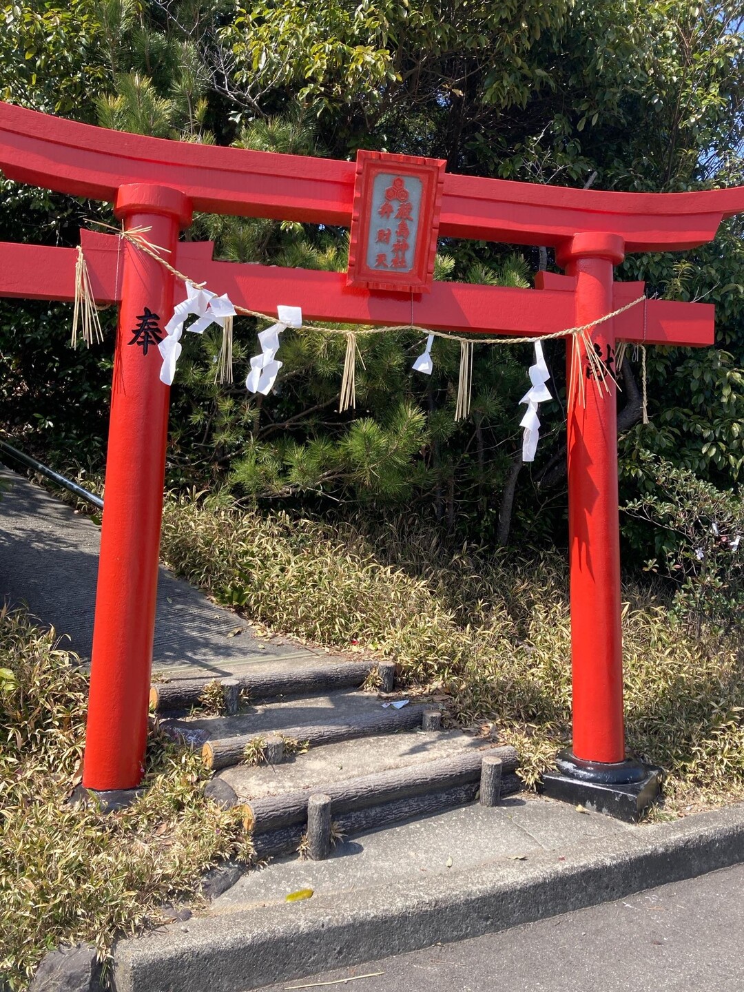弁天山から徳島植物園ぐるりんこ / ひでやん&T子さんのあづり越の活動データ | YAMAP / ヤマップ