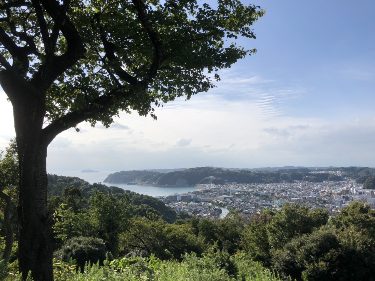 逗子市街を一望 長柄桜山古墳群 / heeさんの三浦アルプス・二子山・仙元山の活動データ | YAMAP / ヤマップ