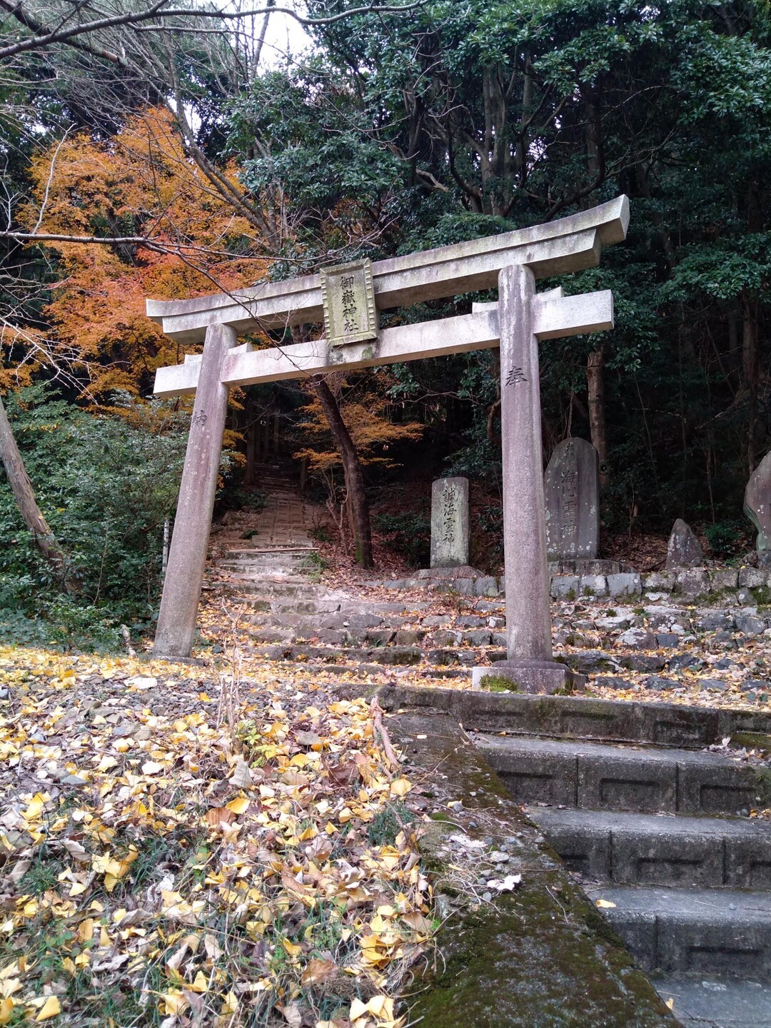 石津御嶽 / AHさんの多度山・美濃松山・石津御嶽の活動データ | YAMAP / ヤマップ