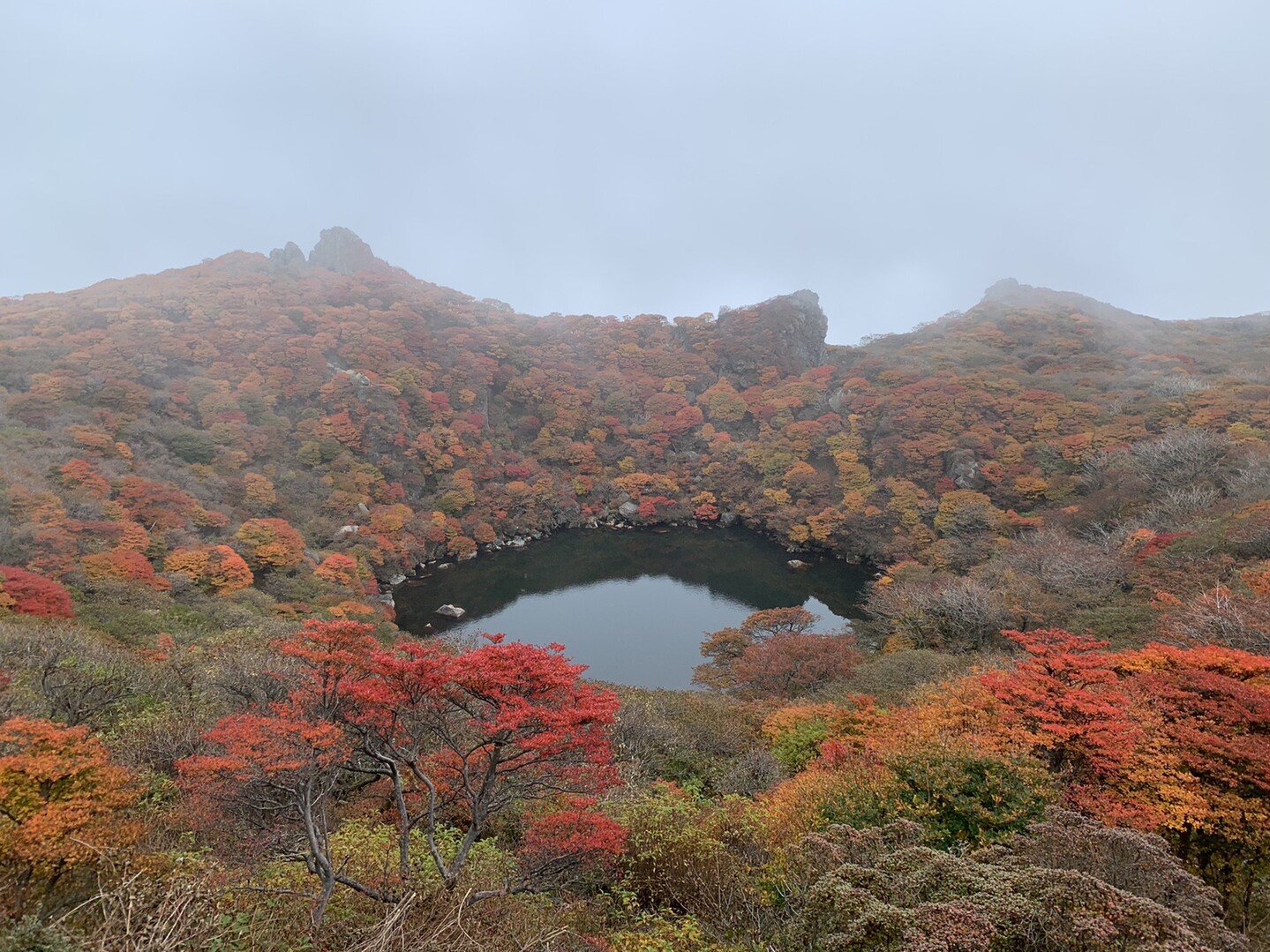 大船山-2019-10-23 / motoyaさんの九重山（久住山）・大船山・星生山の活動データ | YAMAP / ヤマップ