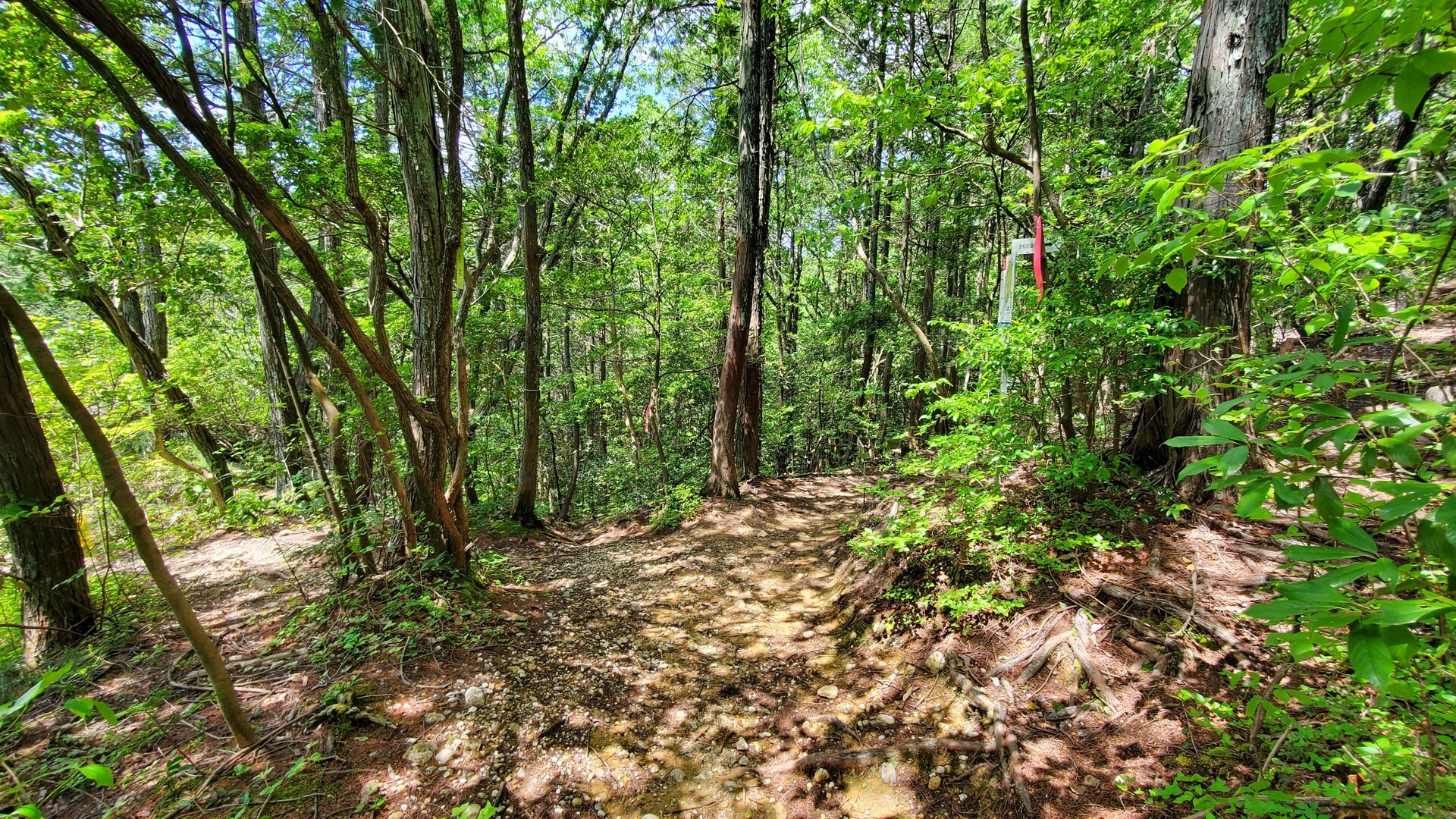 yamacampさんの投稿したフィールドメモ | YAMAP / ヤマップ