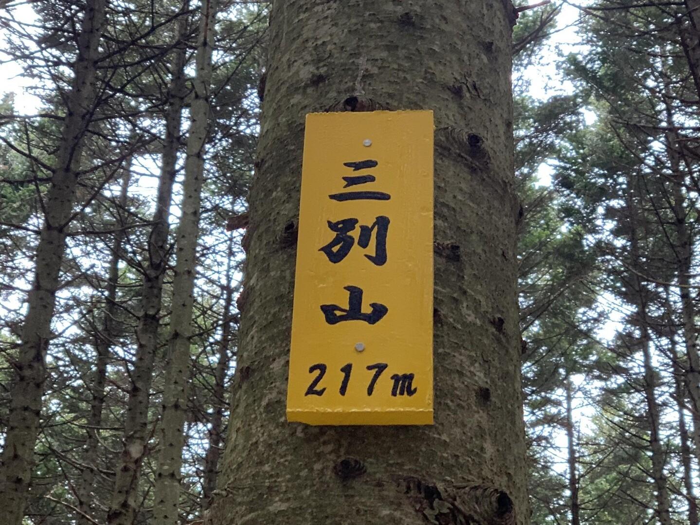 OB⛳️ / わっさんさんの野牛山・北広山の活動データ | YAMAP / ヤマップ