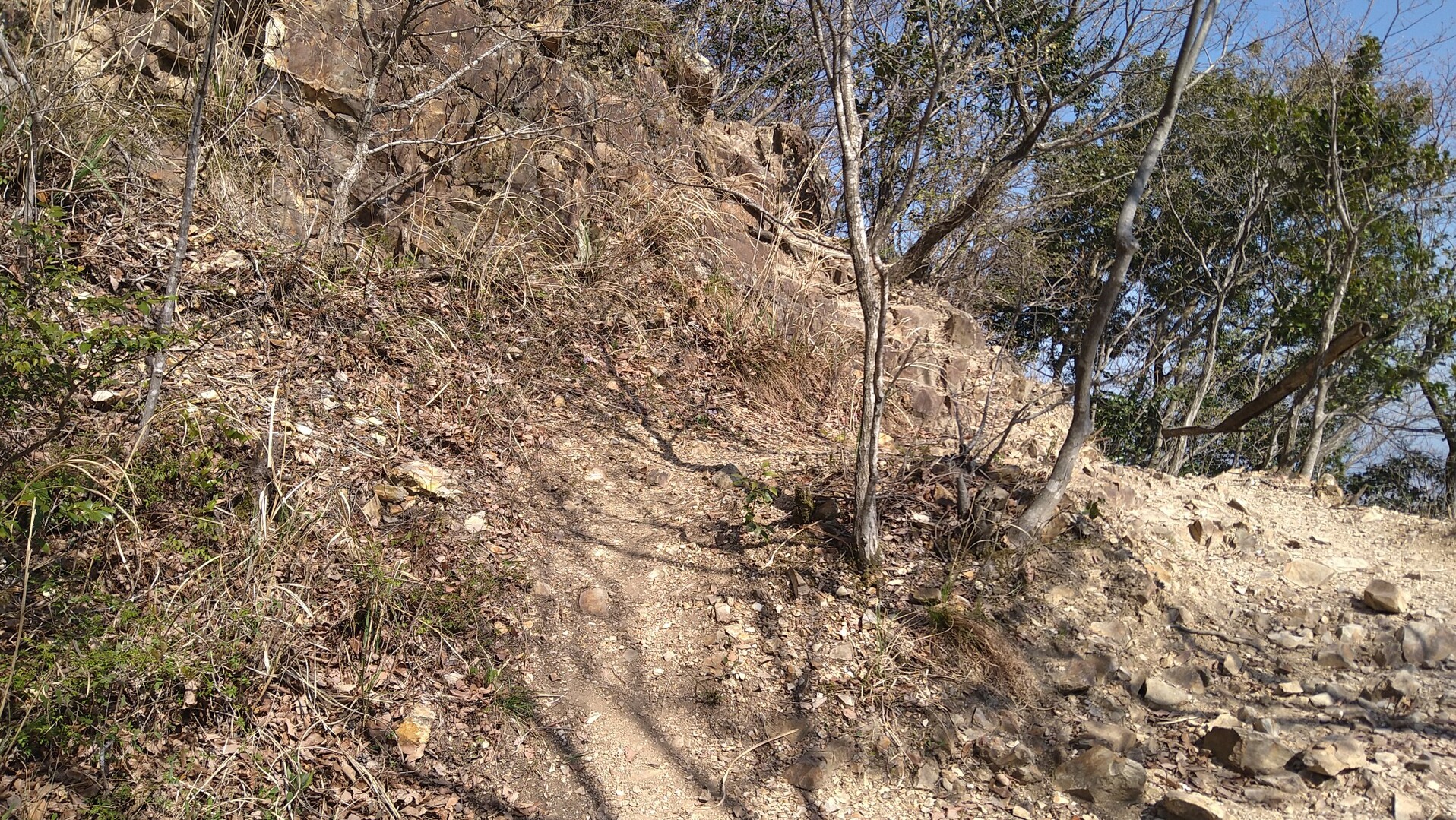 kame11さんの投稿したフィールドメモ | YAMAP / ヤマップ