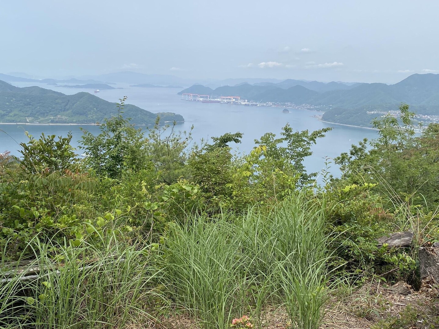 大平山・狗山・明神山・行者山 / pinさんの佐木島の活動データ | YAMAP / ヤマップ