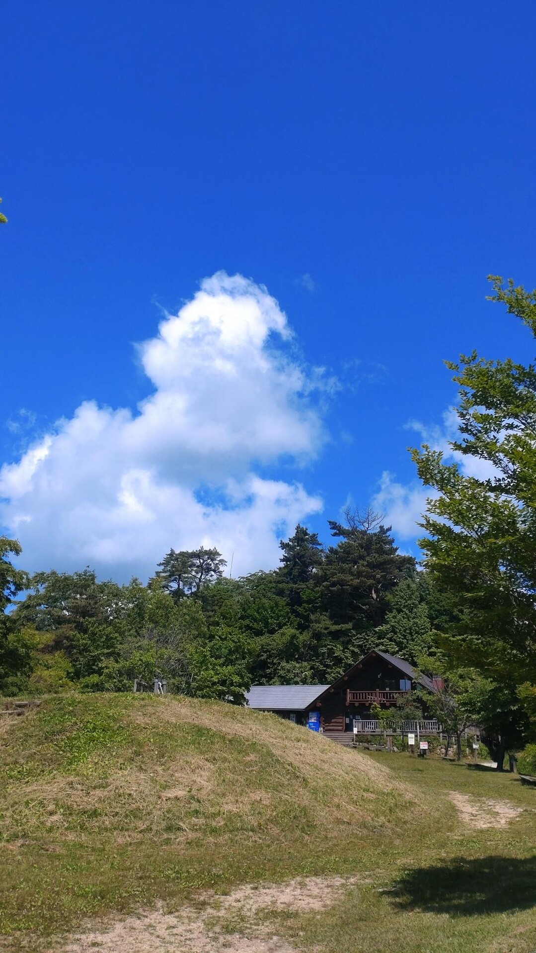湧出岳・金剛山 / j-goingさんの金剛山・二上山・大和葛城山の活動データ | YAMAP / ヤマップ