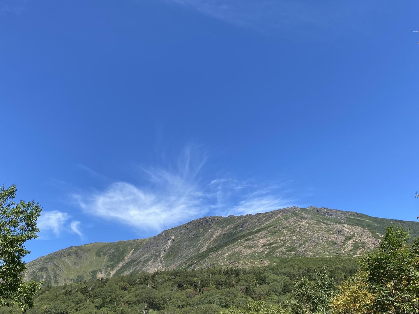 早池峰ブルー / t-sasaさんの早池峰山・薬師岳・鶏頭山の活動データ | YAMAP / ヤマップ