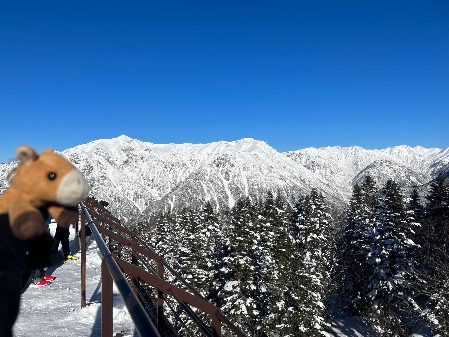 kaikeiちゃんねる(YouTube)さんの投稿したフィールドメモ | YAMAP / ヤマップ