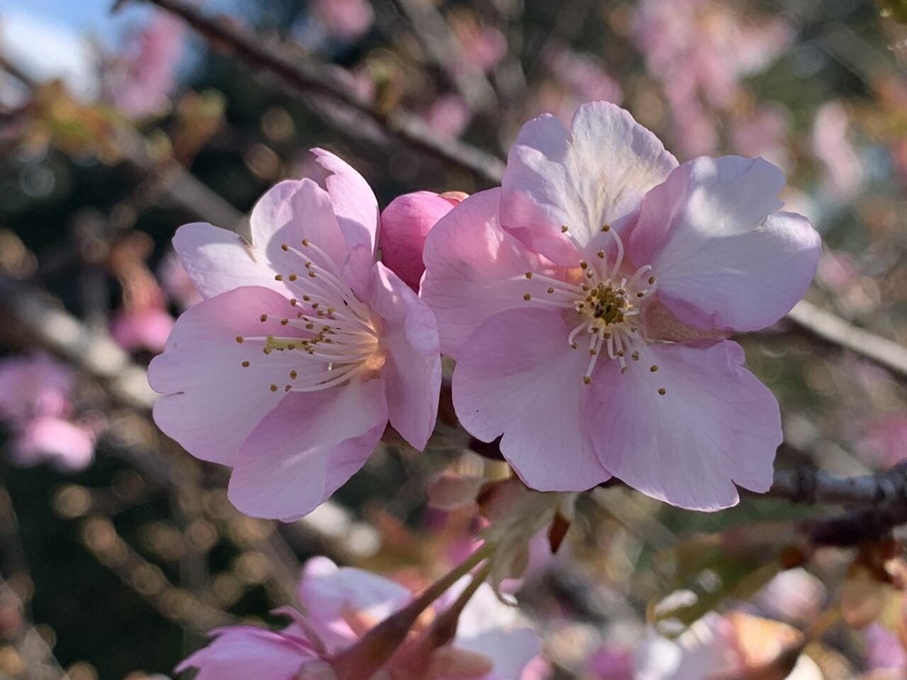 チロル-METALのページ | YAMAP / ヤマップ