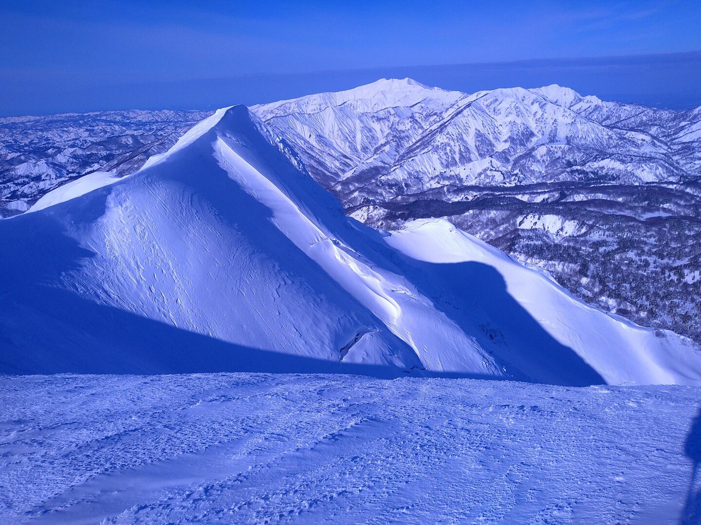 この風景に 今年も会えました🎵 / ひでさんのモーメント | YAMAP / ヤマップ
