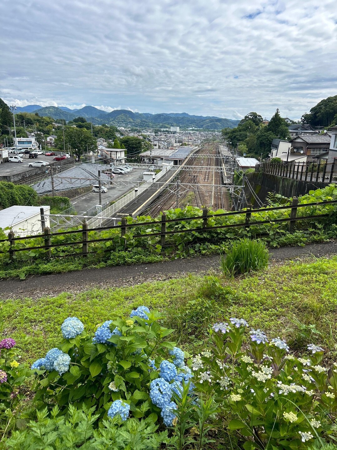 さわやかウォーキング金谷駅〜富士山静岡空港 ️ / akeppさんのウォーキングの活動データ | YAMAP / ヤマップ