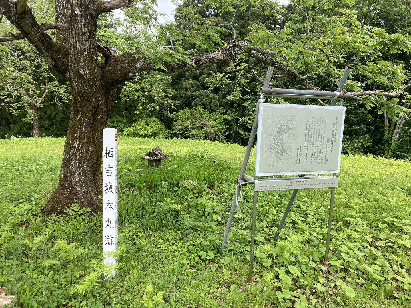 城山 / PONさんの鋸山・三ノ峠山・八方台の活動データ | YAMAP / ヤマップ