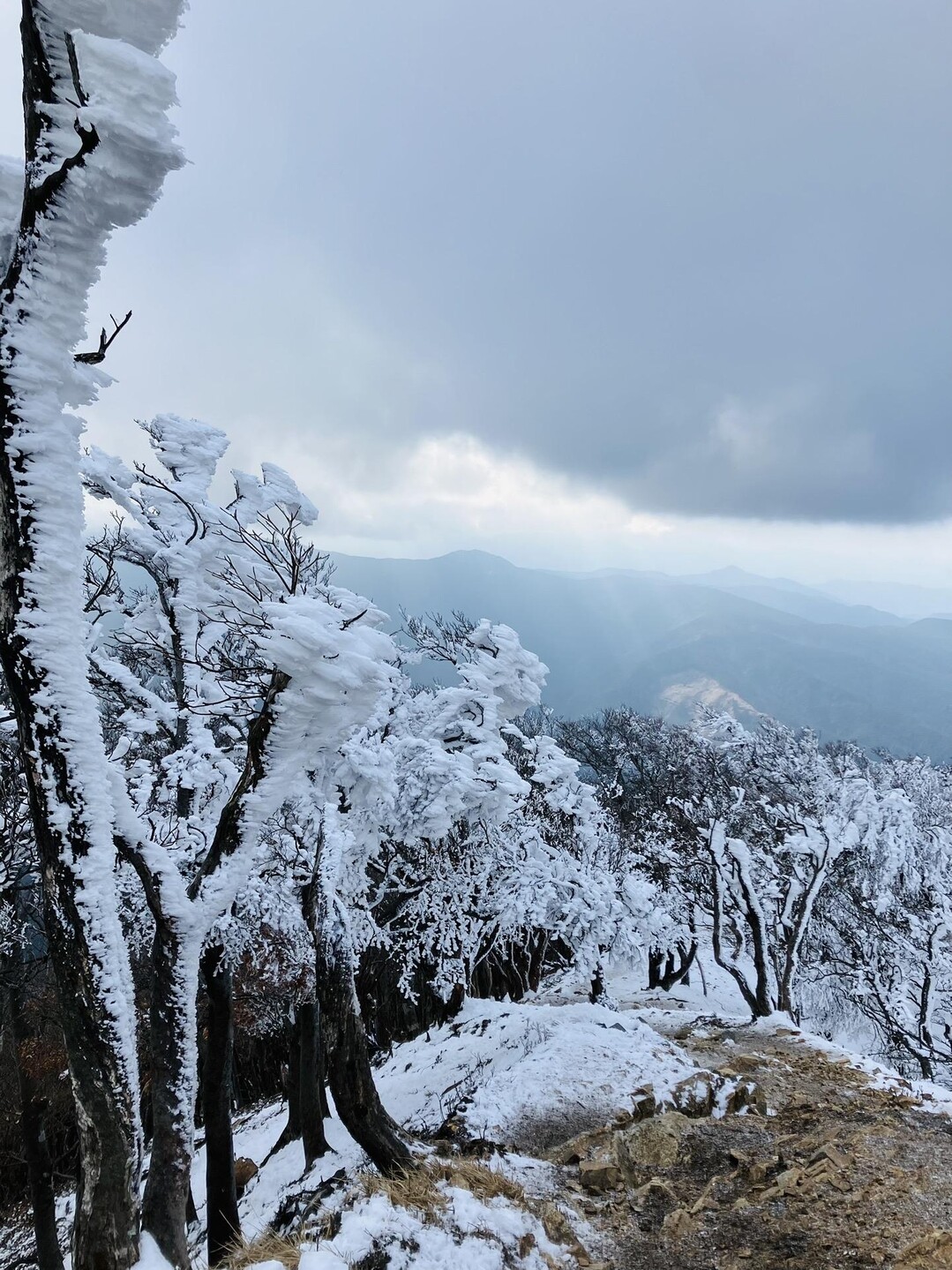 山大国 ️高見山 / Yamaikoさんの高見山・黒石山・天狗山の活動データ | YAMAP / ヤマップ