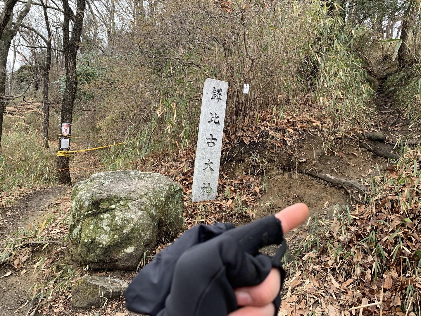 nonpui(ノンプイ)さんの投稿したフィールドメモ | YAMAP / ヤマップ