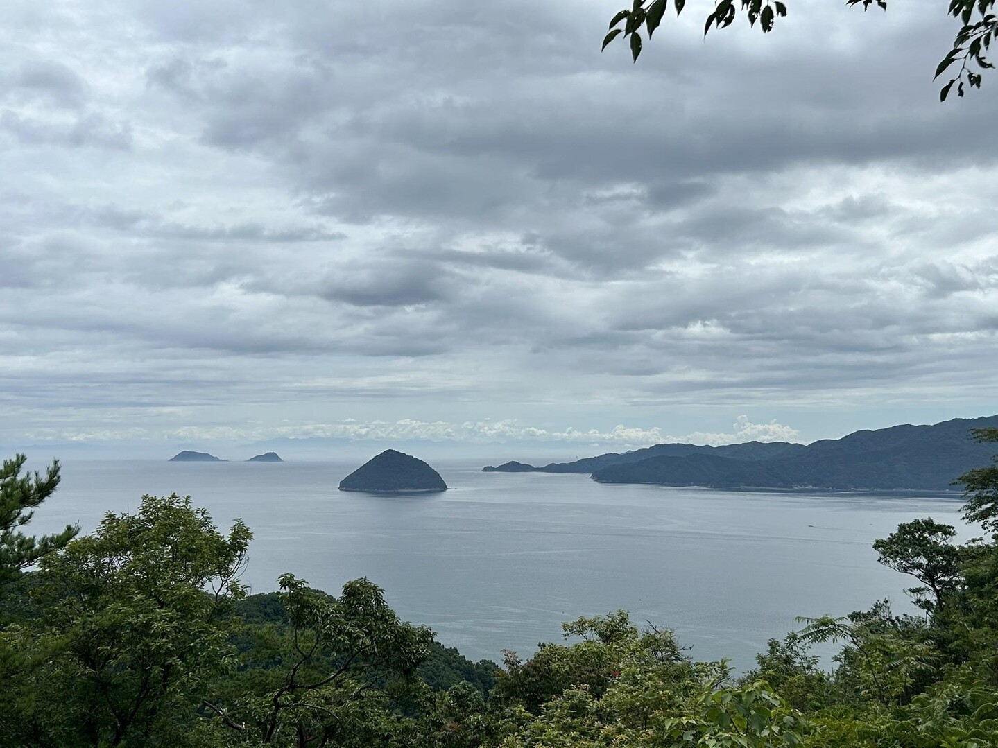 巨大キノコを探しに((´∀`*)) 三角台・龍王山。 / datinさんの鎮南山の活動データ | YAMAP / ヤマップ