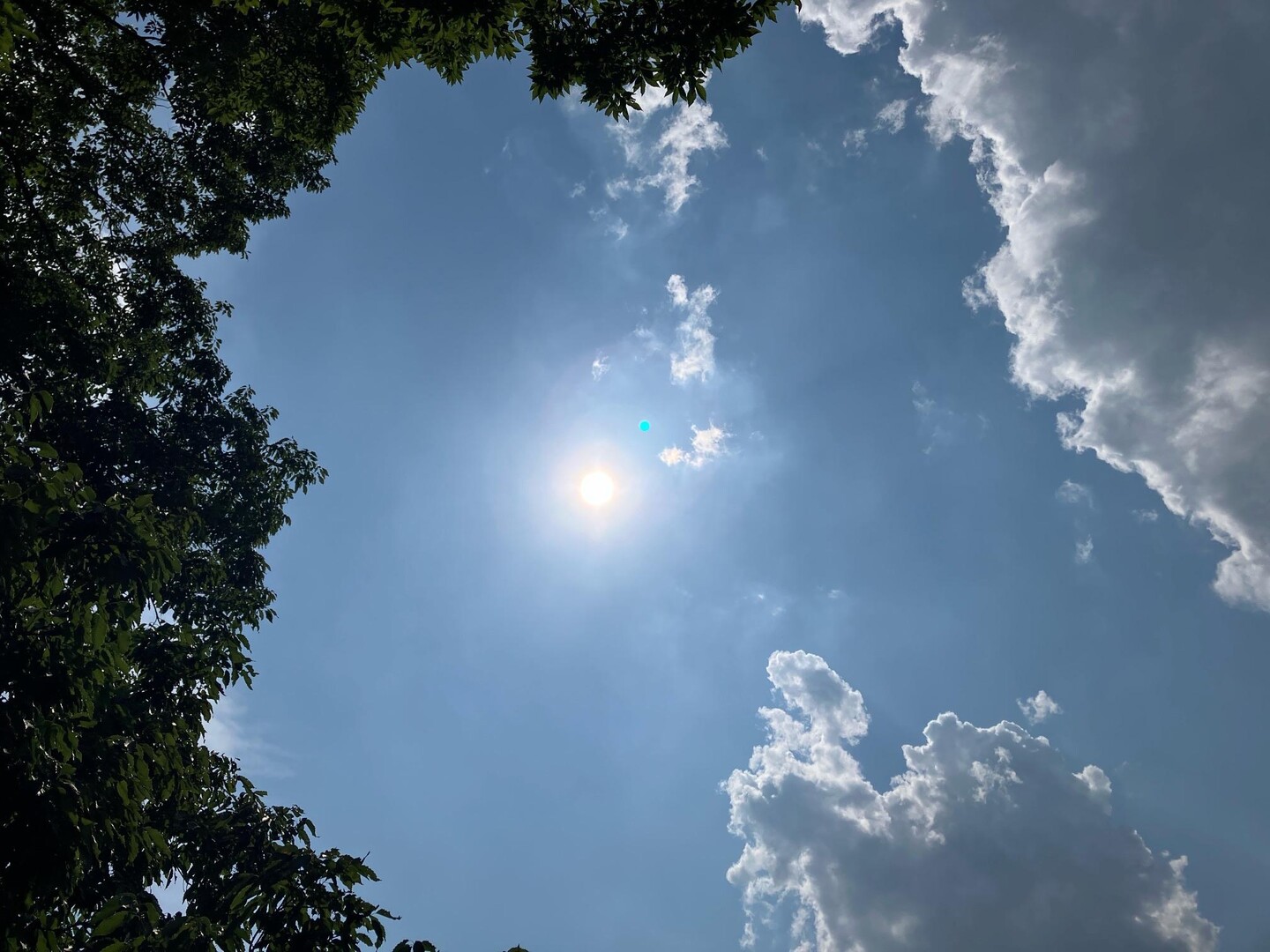 吾妻山 / REI - KOさんの鳴神山・吾妻山の活動データ | YAMAP / ヤマップ